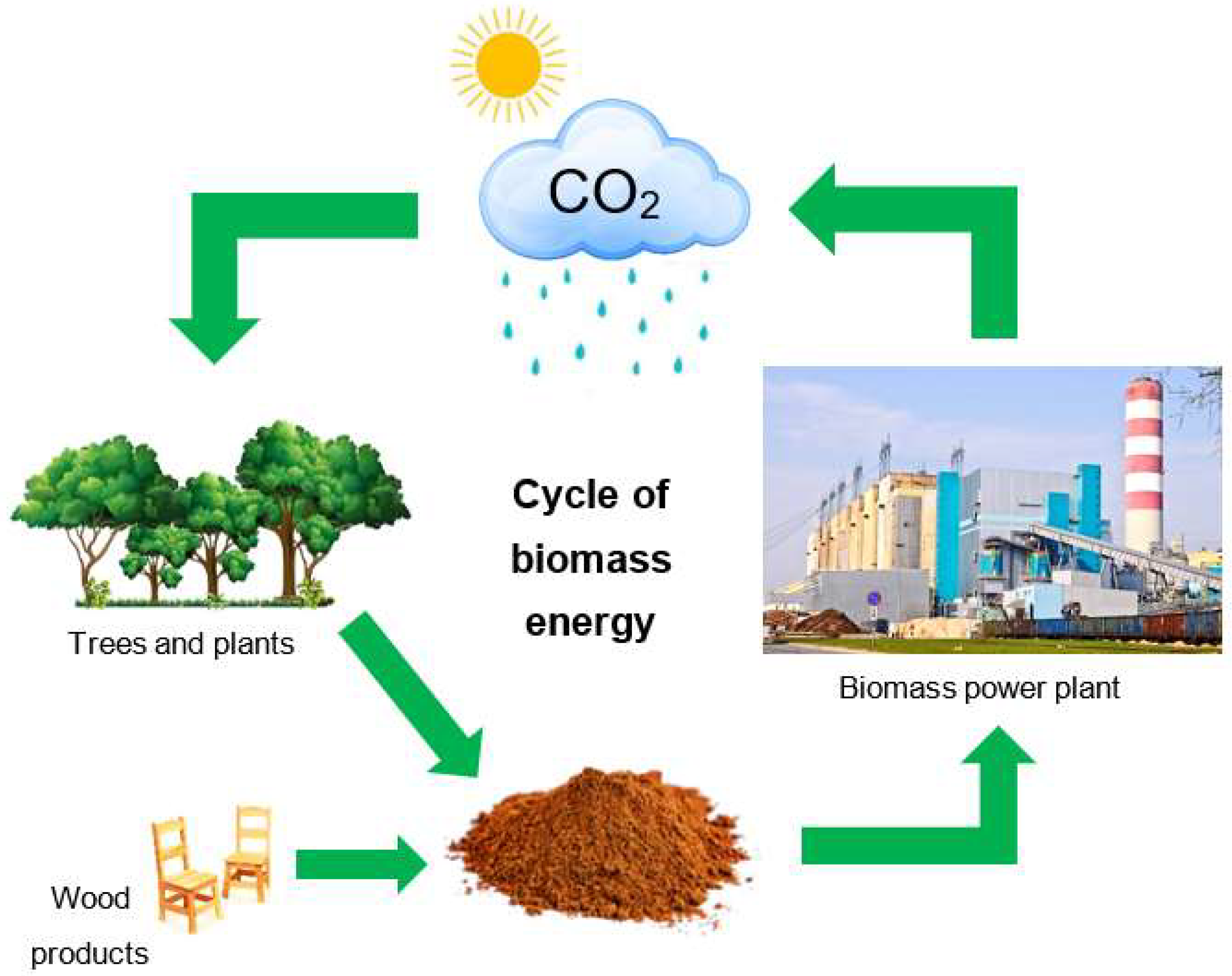 Biomass Plant Biomass Plant