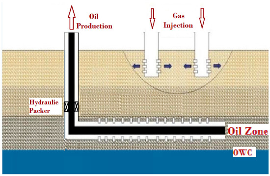 Well Placement Optimization through the Triple-Completion Gas and Downhole Water Sink-Assisted ...