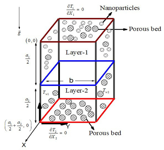 Linear Model for Two-Layer Porous Bed Suspended with Nano Sized Particles
