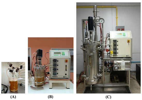Novel Batch and Repeated-Batch Butanol Fermentation from Sweet Sorghum ...