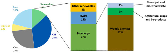Development Status and Prospects of Biomass Energy in China
