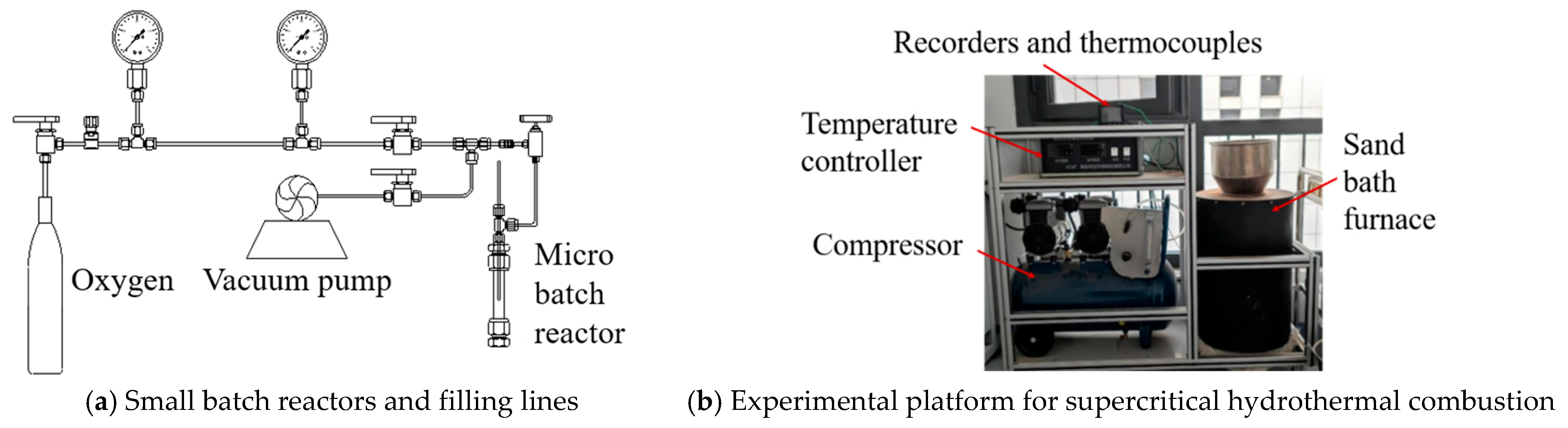 Ignition and Combustion Characteristics of Heavy Oil in Supercritical ...