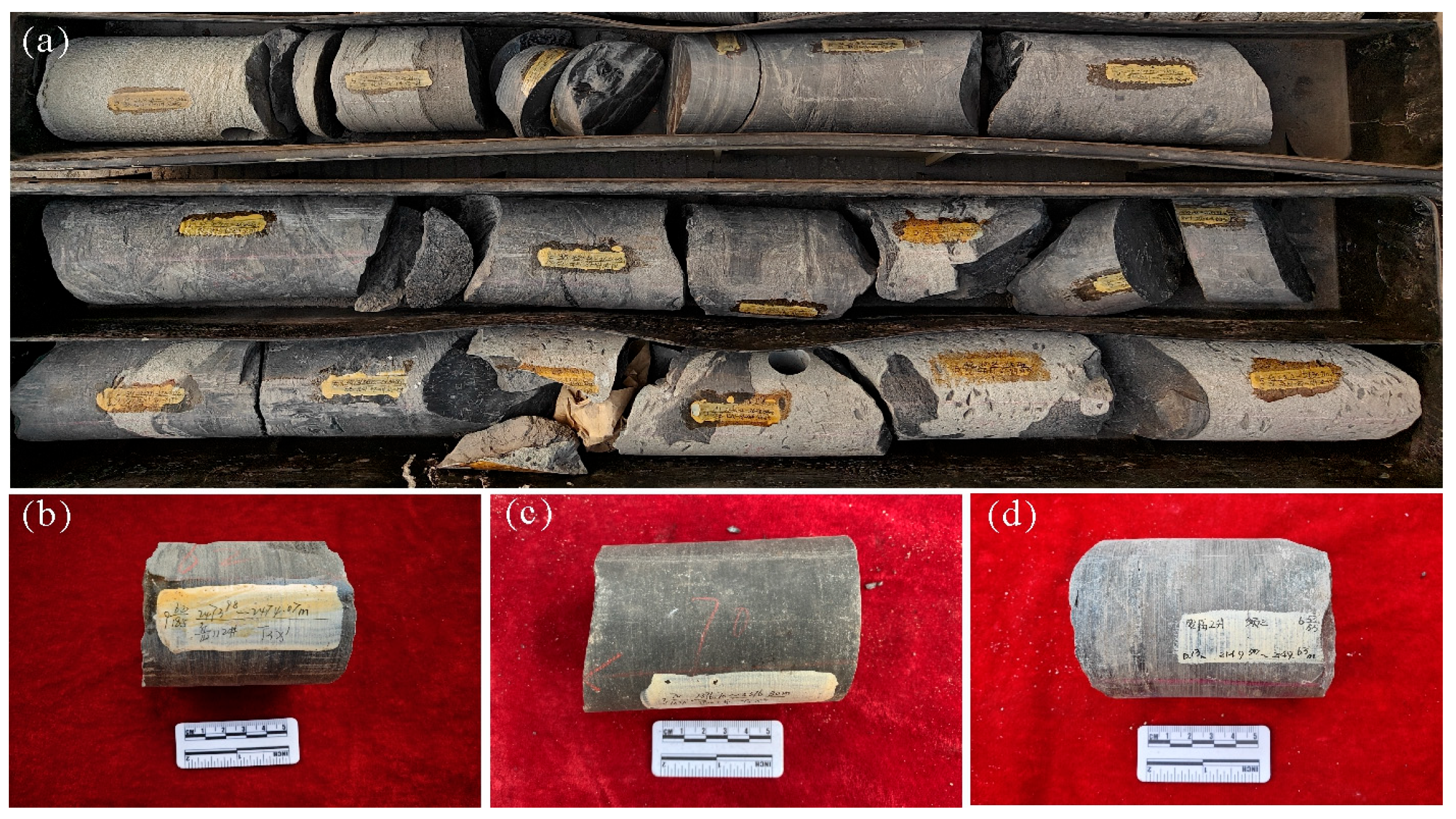 Source–Reservoir Structure of Member 2 of Xujiahe Formation and Its ...