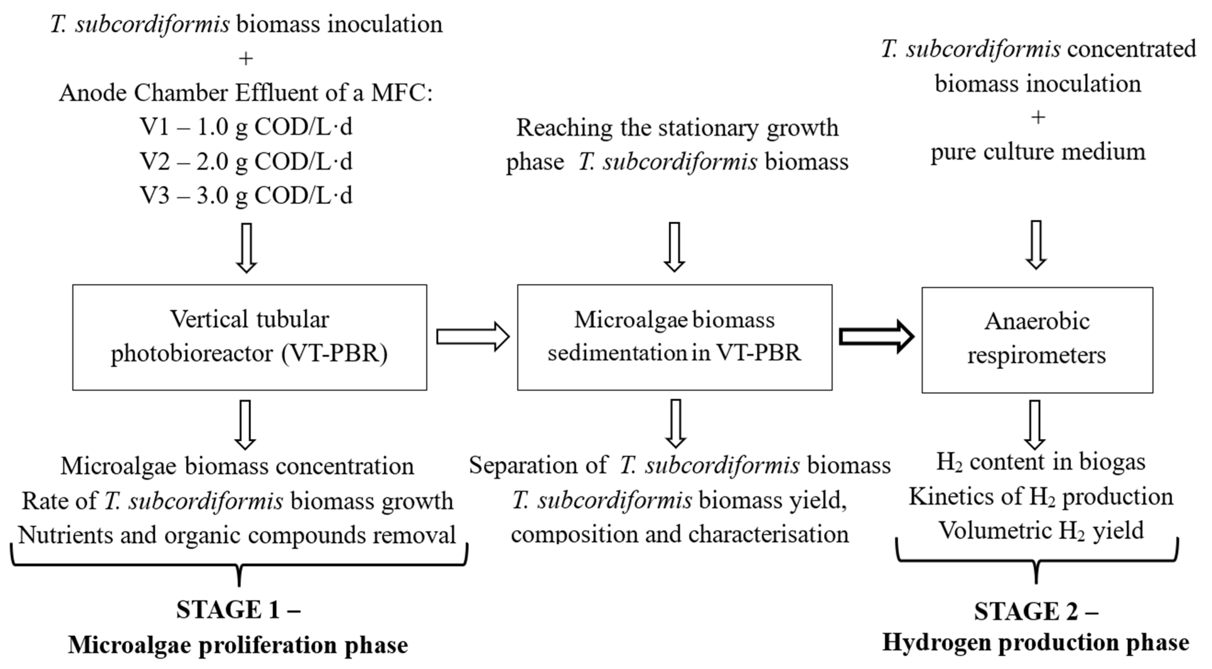 Anode Chamber Effluent of a Microbial Fuel Cell as a Sustainable ...