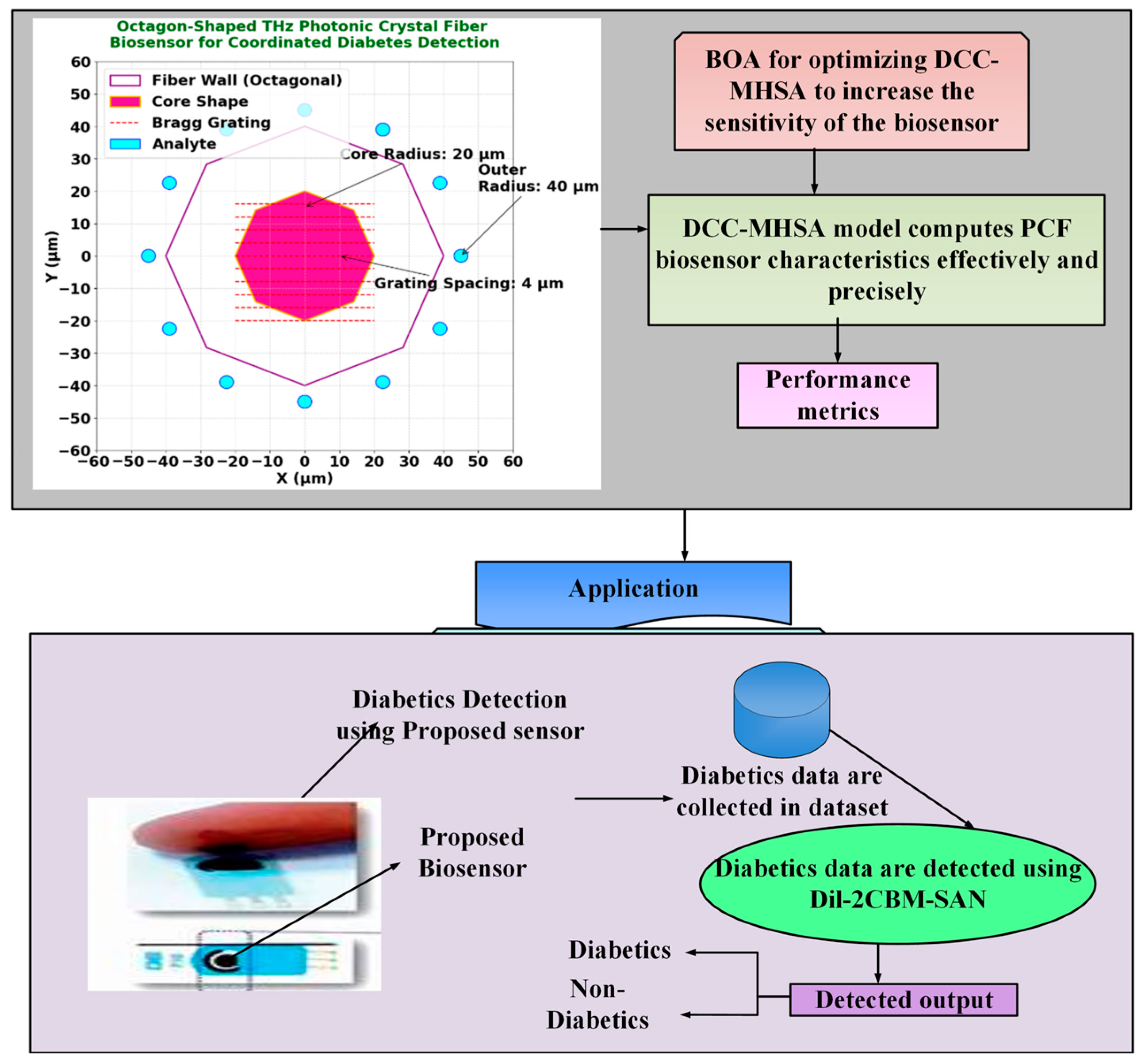 Design of an Octagon-Shaped THz Photonic Crystal Fiber Biosensor for ...