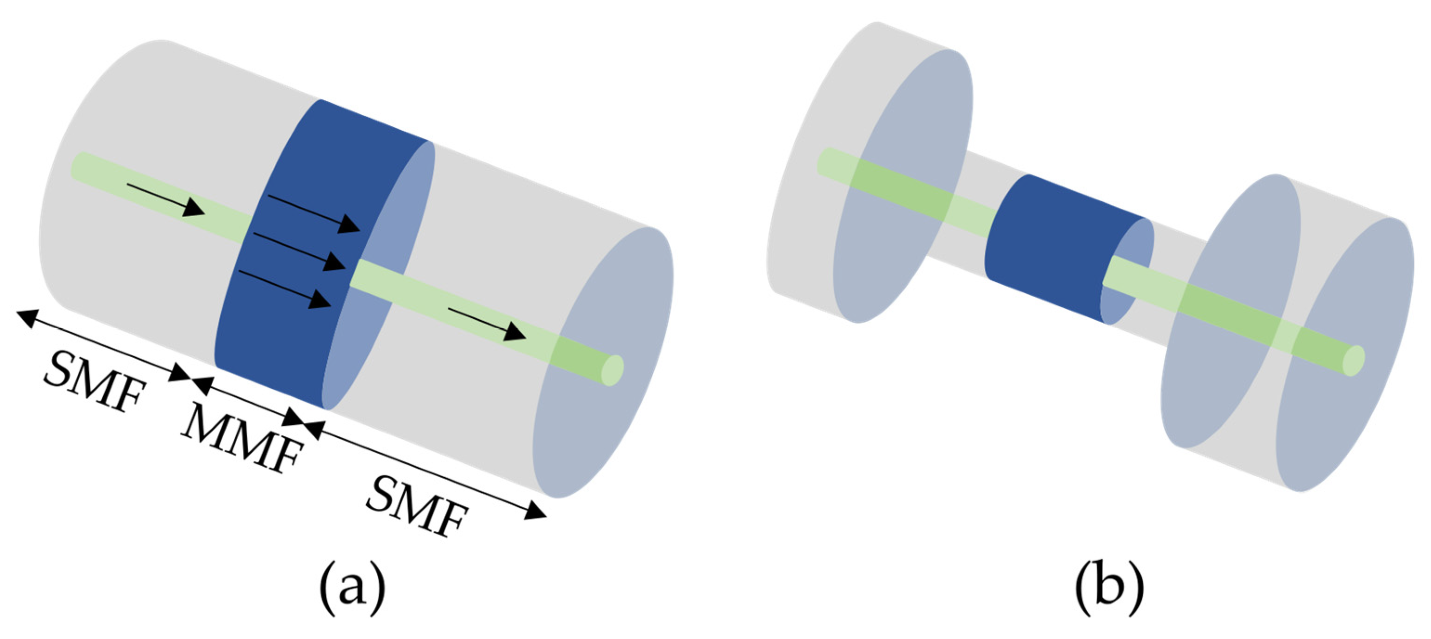 Computational Methodology for the Analysis of SMS Interferometric Structures as Potential Biosensors