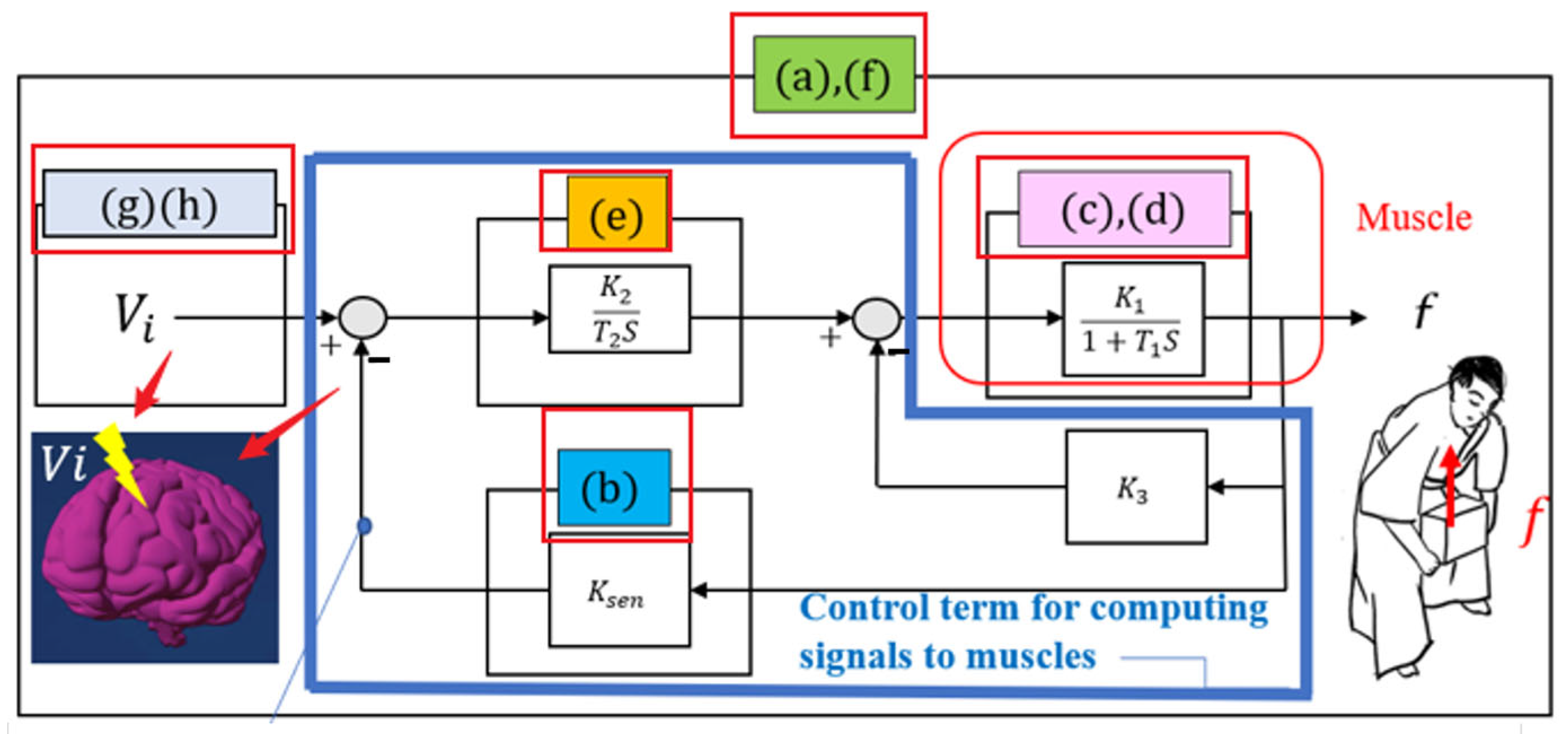 Application of Momentary Shoulder-Contraction Principles from ...
