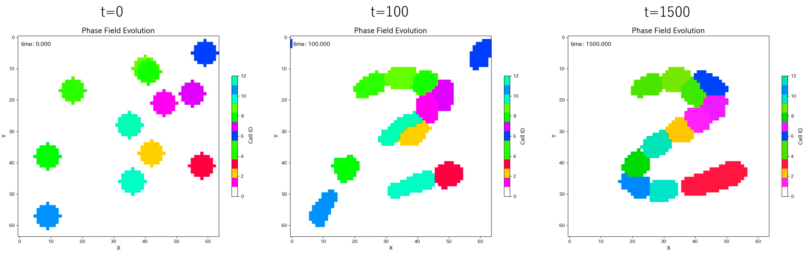 Trainable Multicellular Phase-Field Model for Targeted Pattern ...