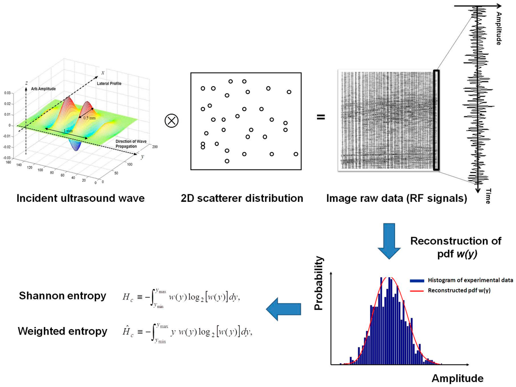 Ultrasound Detection of Scatterer Concentration by Weighted Entropy