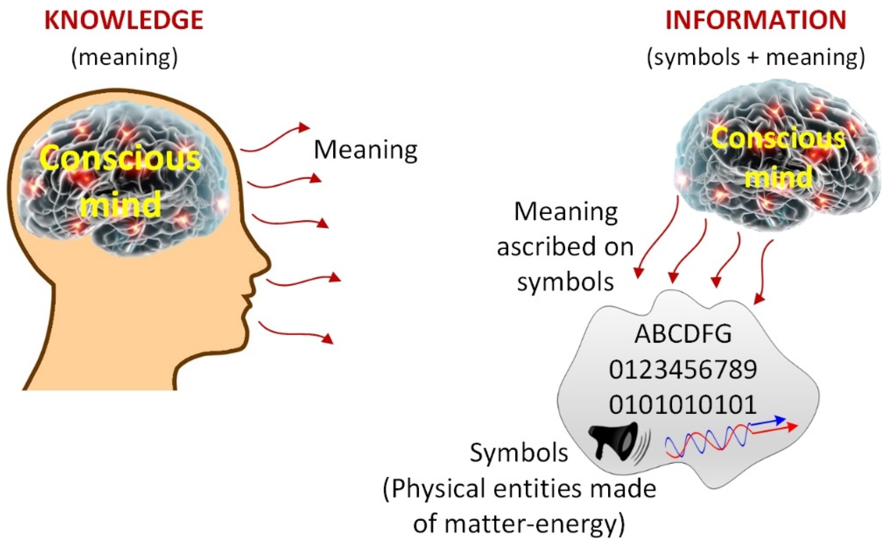 Entropy Free Full Text A Concise Account Of Information As Meaning Entropy Free Full Text A Concise Account Of Information As Meaning