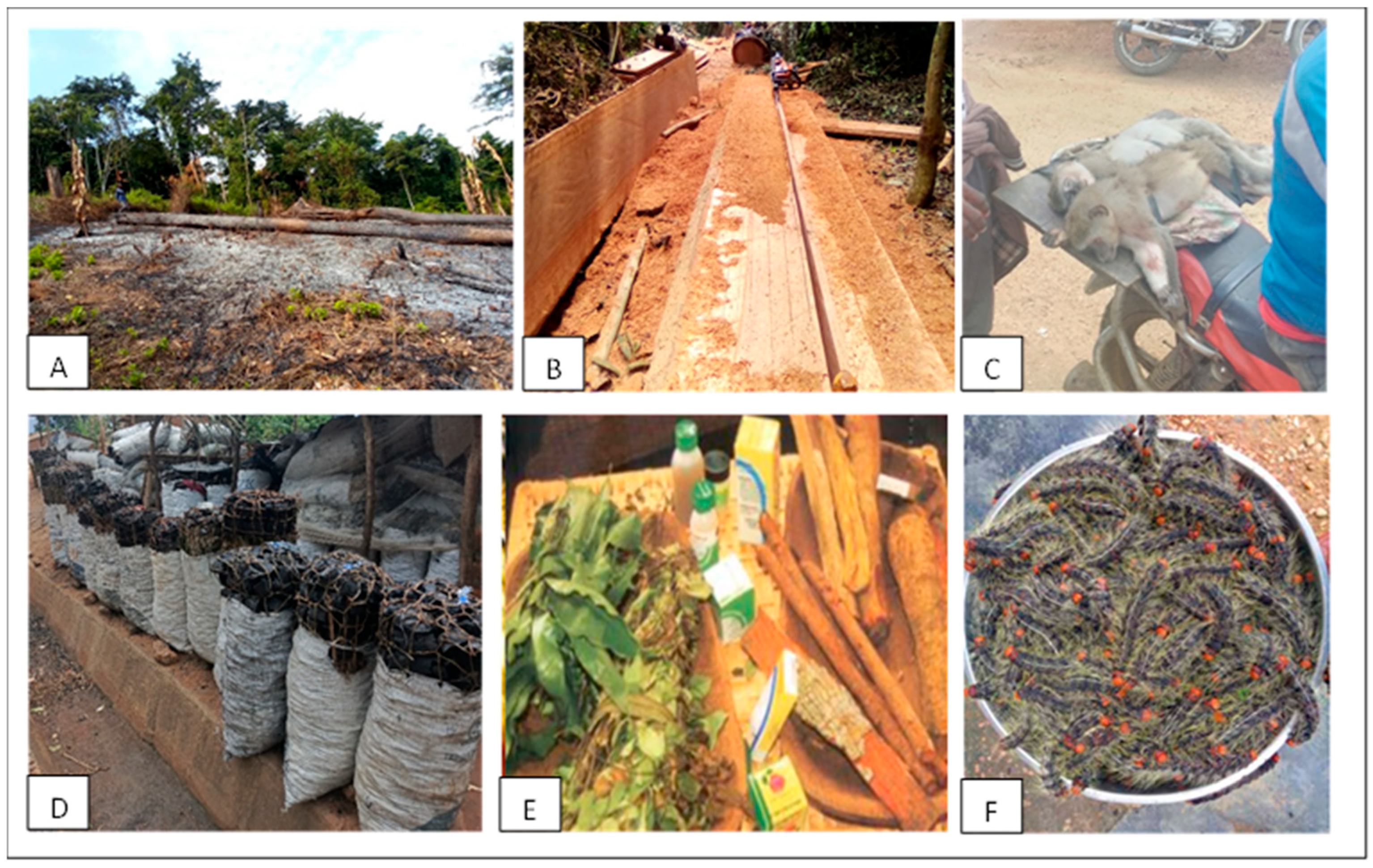 Demand for Ecosystem Services by Populations in the Luki Biosphere ...