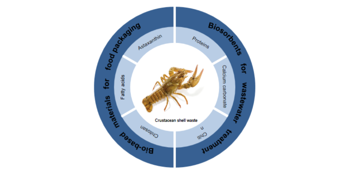 Trends and Opportunities in Crustacean Shell Waste Valorization ...