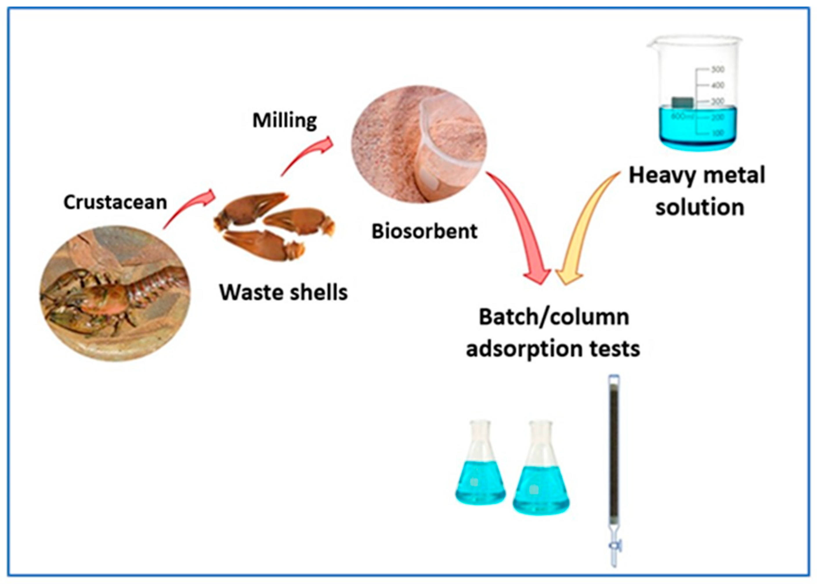 Trends and Opportunities in Crustacean Shell Waste Valorization ...