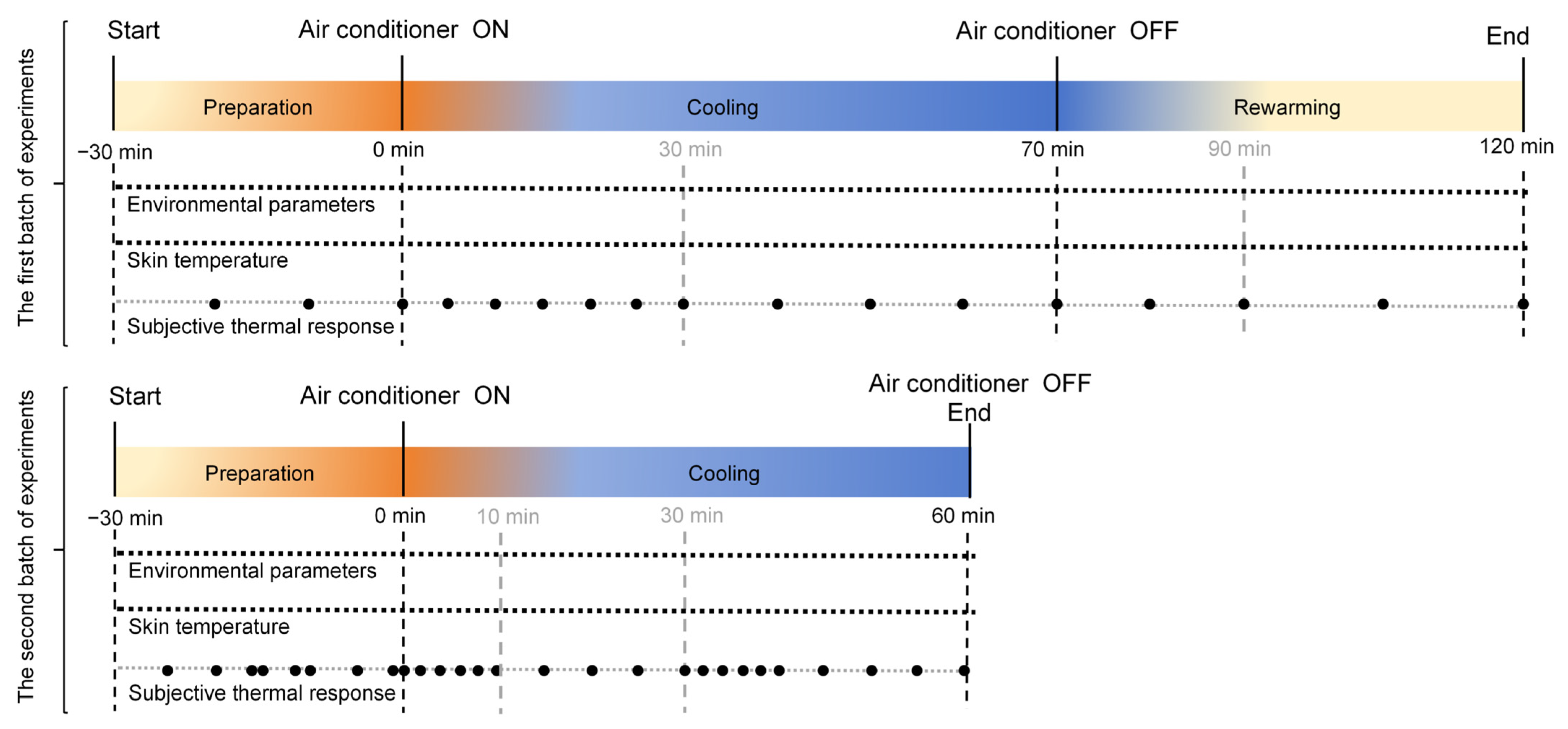 Alliesthesia-Informed Machine Learning for Predicting Dynamic Thermal ...