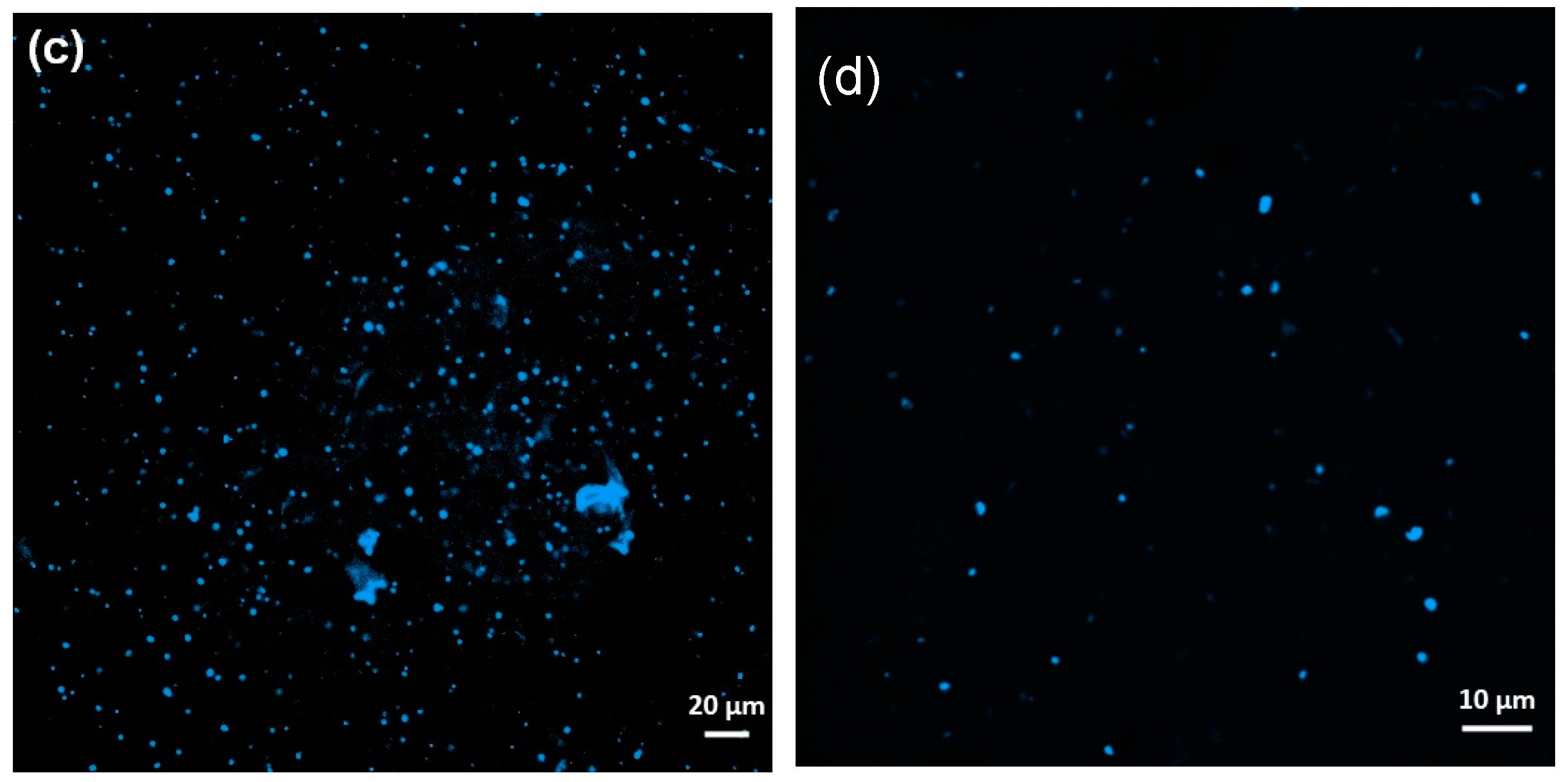 Impact of Mechanical Stirring and Percolate Recirculation on the ...