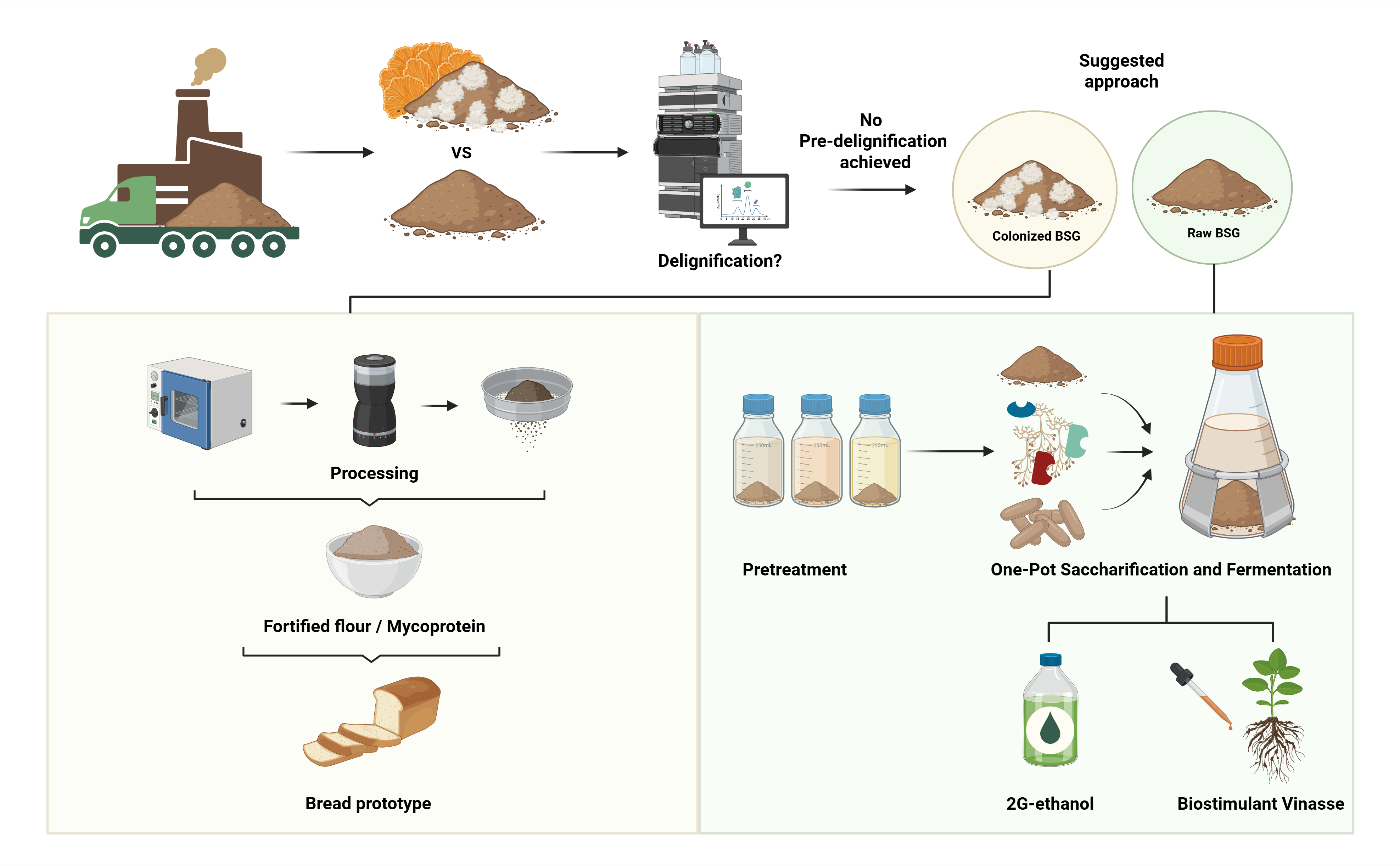 Integrated Biorefinery of Brewer’s Spent Grain for Second-Generation ...