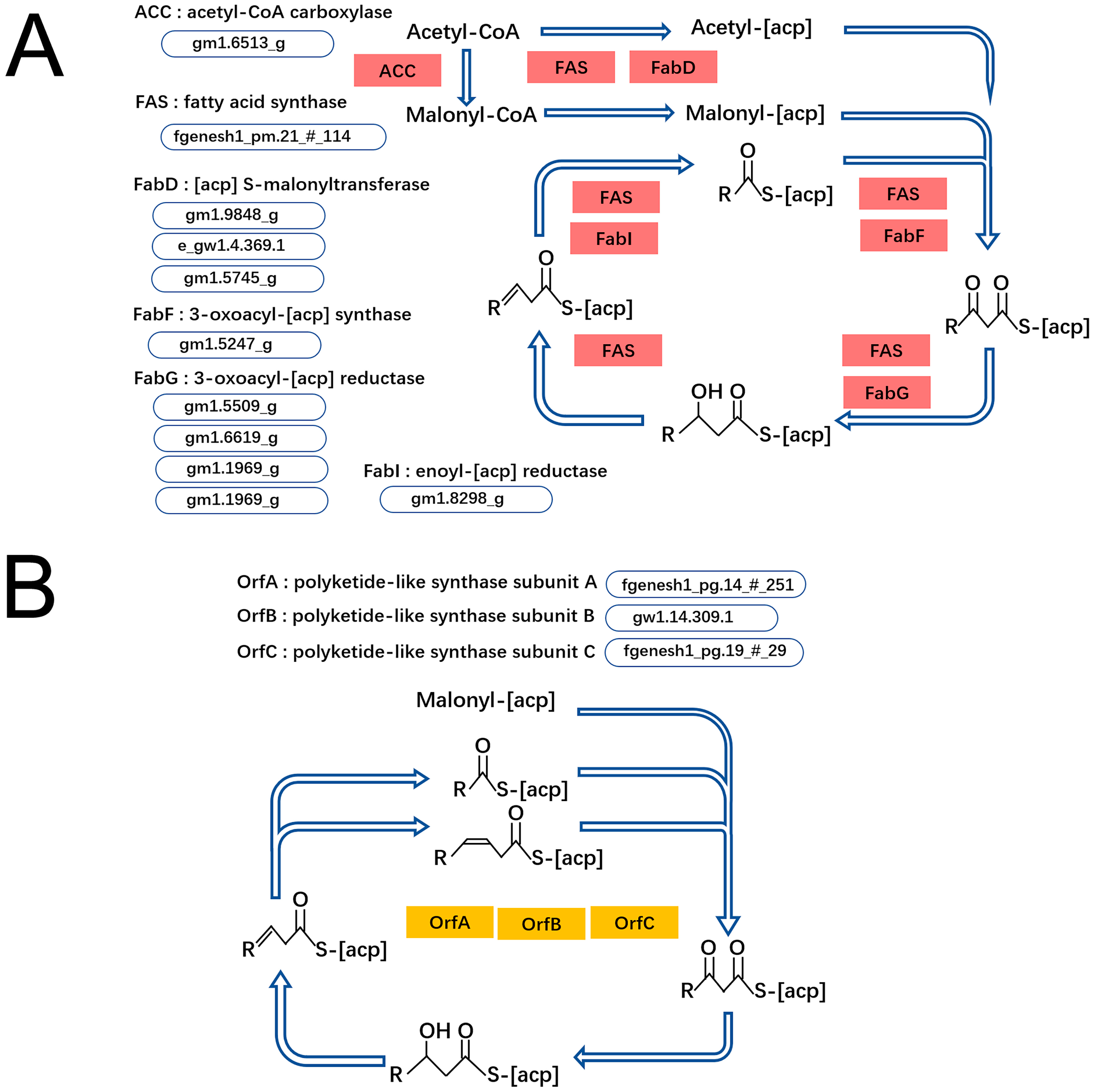 Genomic and Transcriptomic Characterization of a High-Yield ...