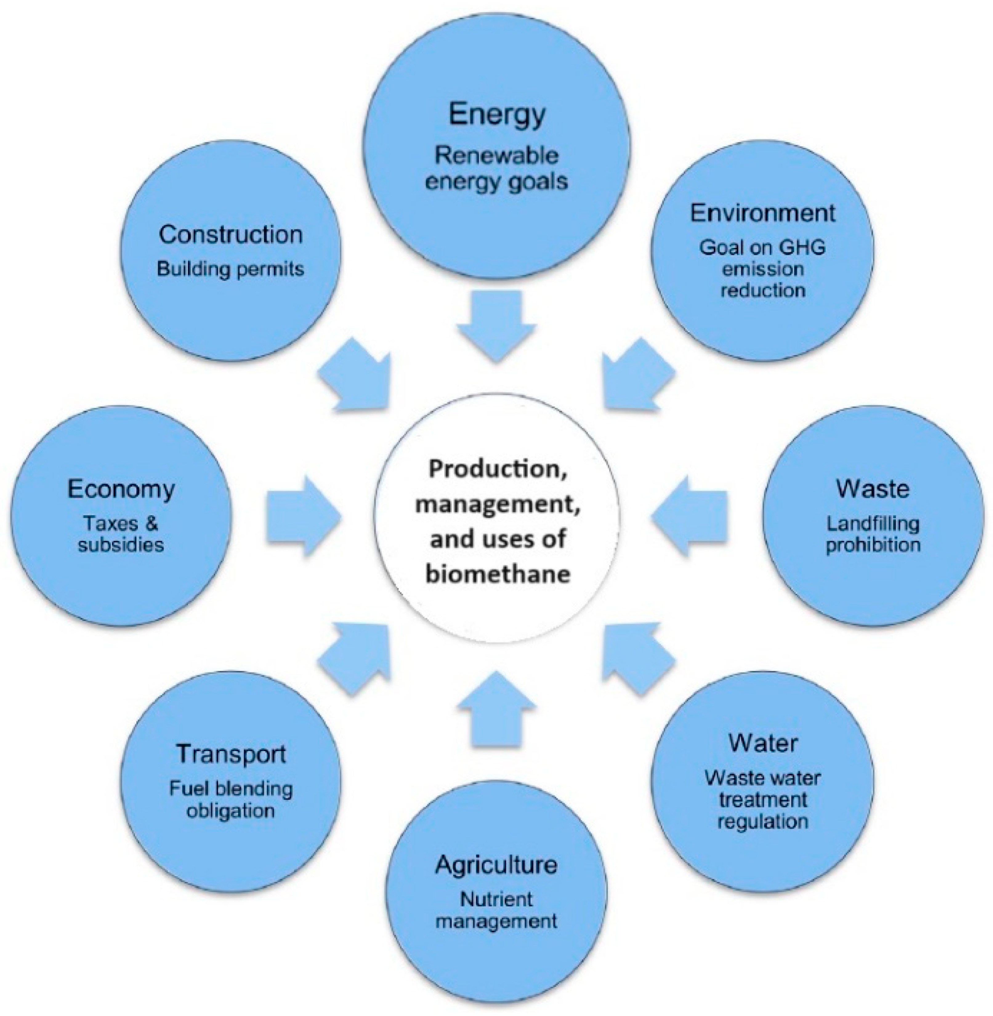 Future Horizons for Biomethane in the Context of the Energy Transition