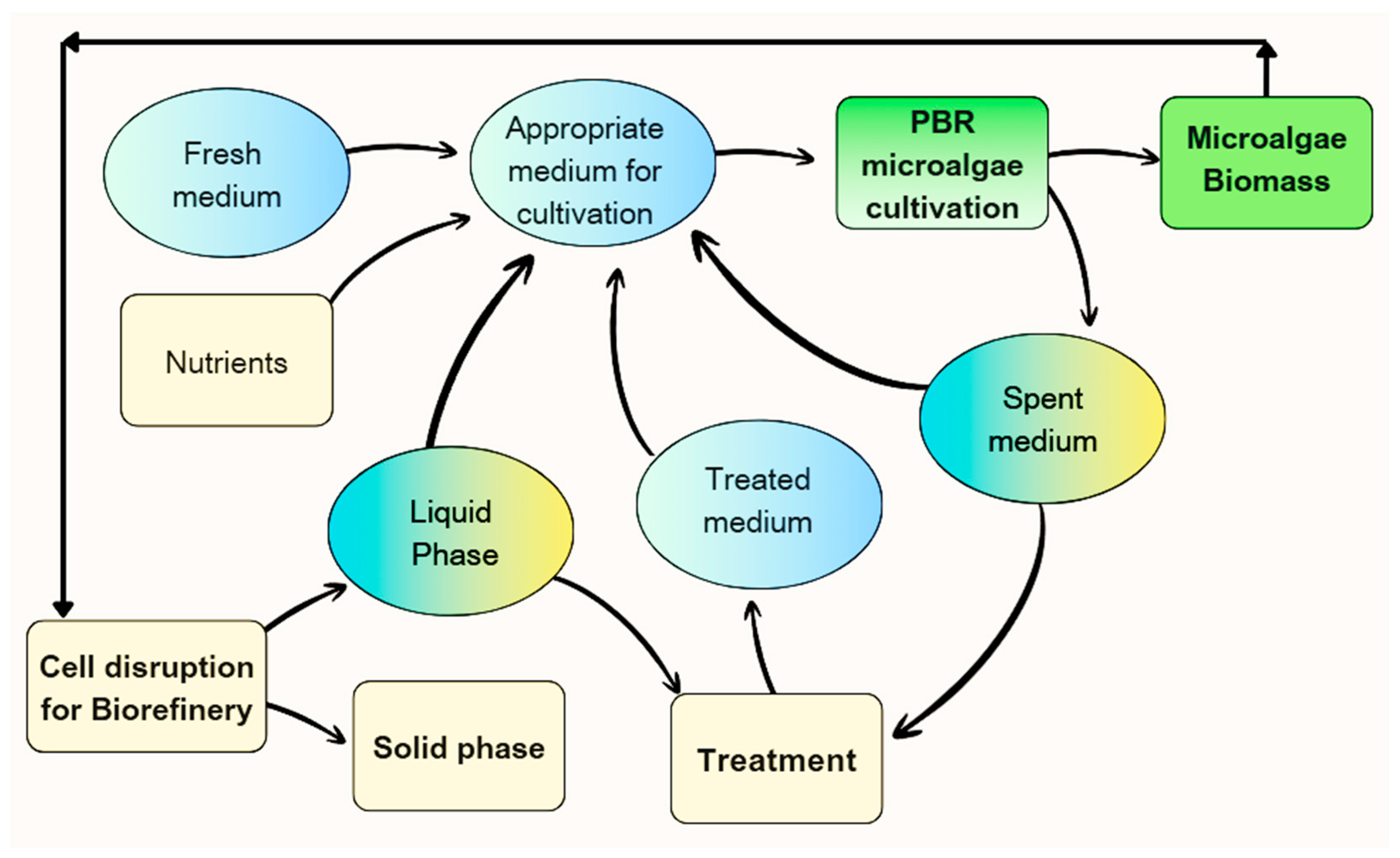 Nutrient Recycling in Microalgae Cultivation as a Sustainable Process ...