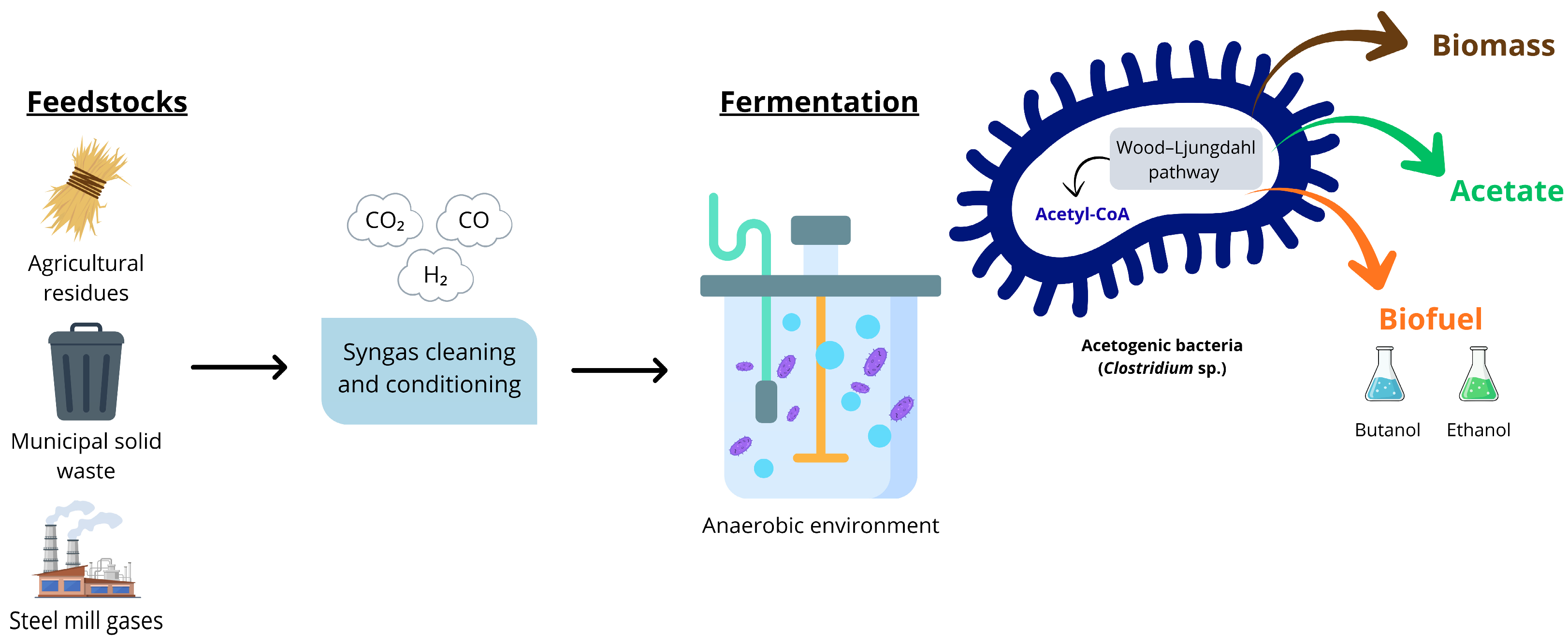 Precision Fermentation as a Frontier in Biofuel Production: Advances ...