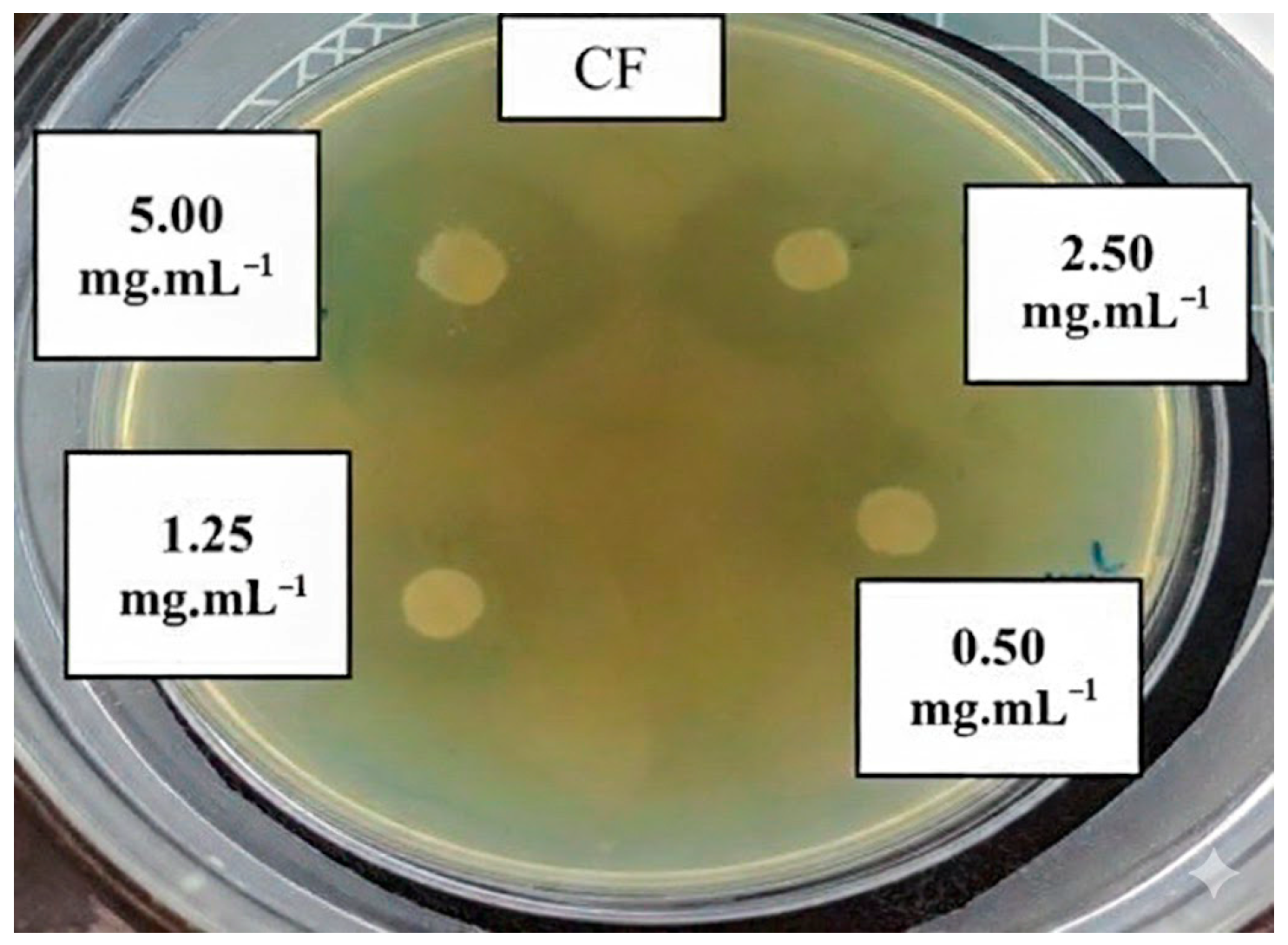 Sustainable Production of Bioactive Chitosan from Fermented Rice Bran ...