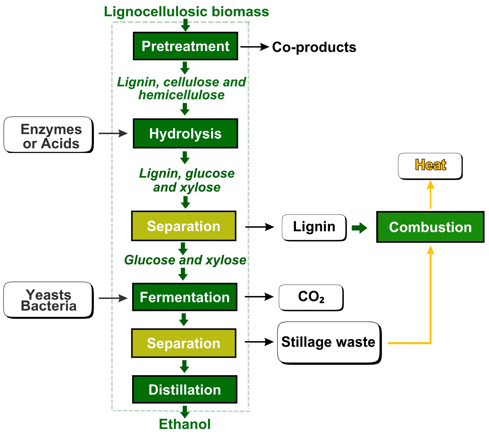Current Trends of Cellulosic Ethanol Technology from the Perspective of ...