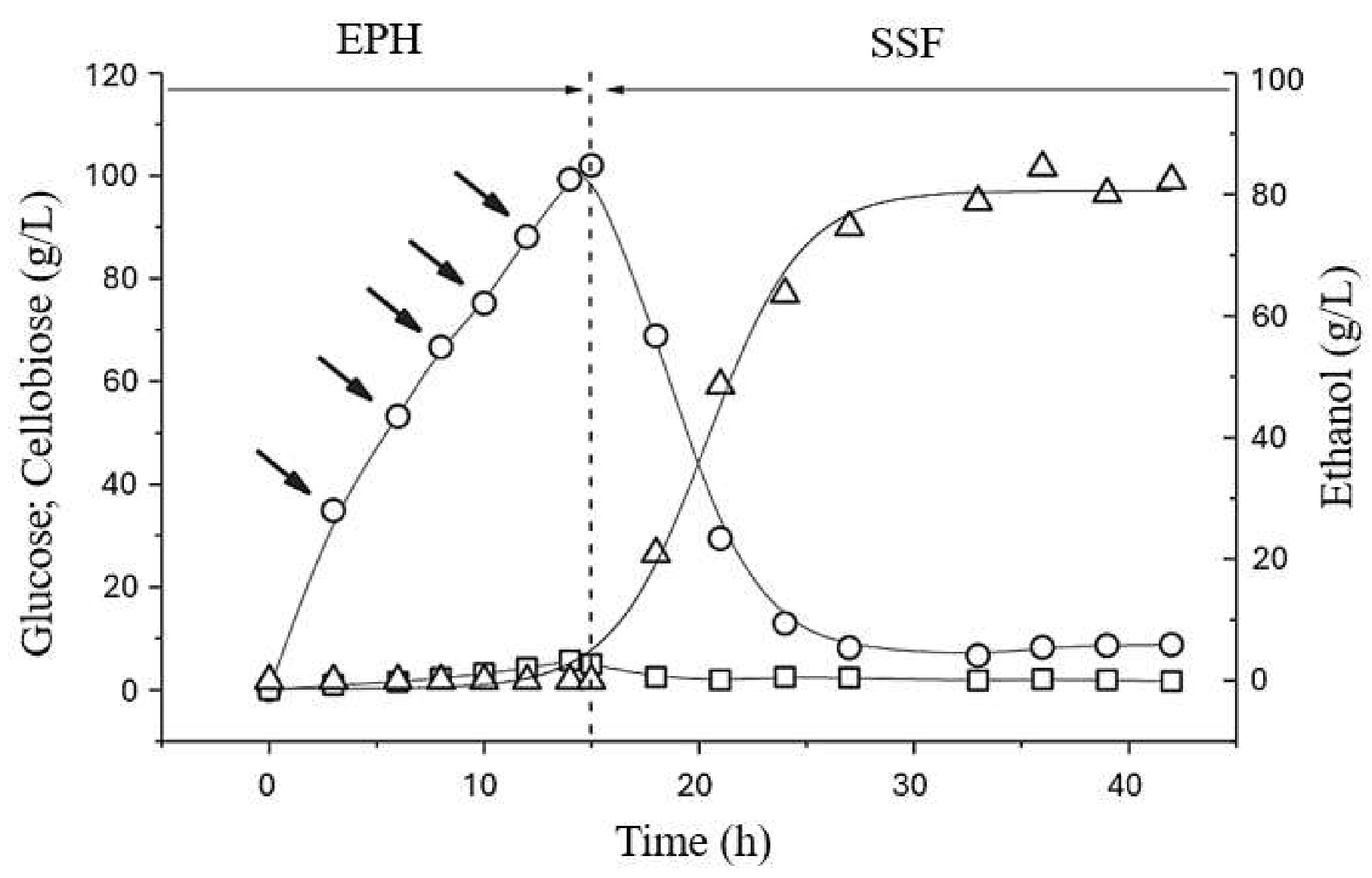 Biochemical Conversion of Lignocellulosic Biomass in Biorefinery Systems
