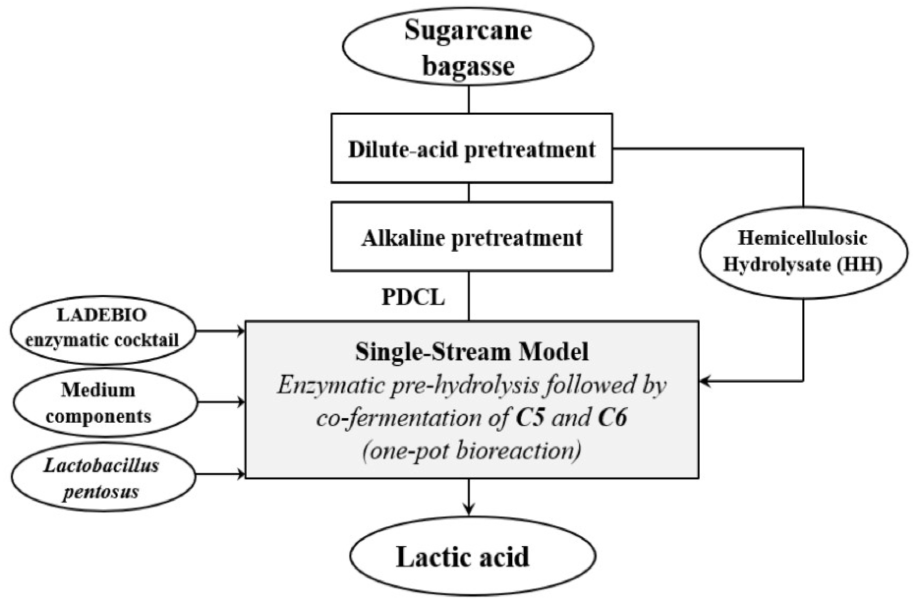 Biochemical Conversion of Lignocellulosic Biomass in Biorefinery Systems