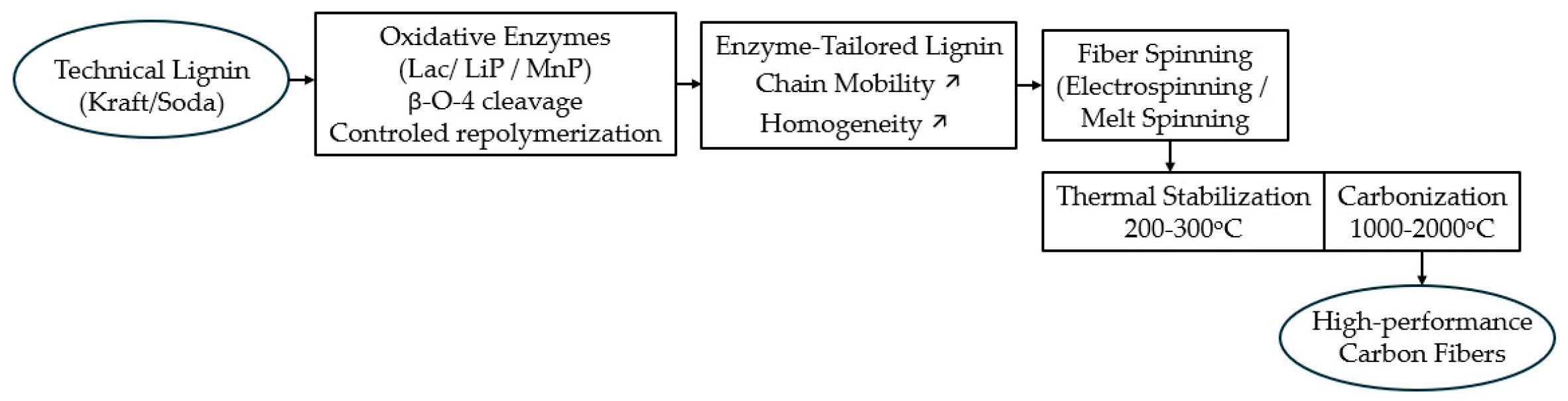 Biochemical Conversion of Lignocellulosic Biomass in Biorefinery Systems