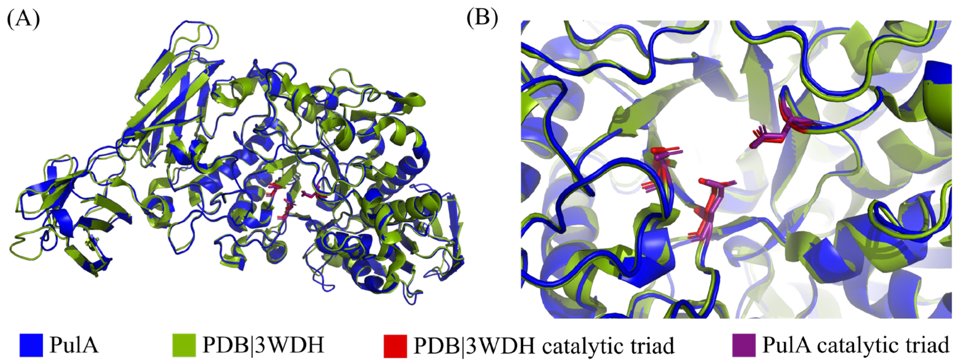 Heterologous Production, Purification, and Characterization of Three ...