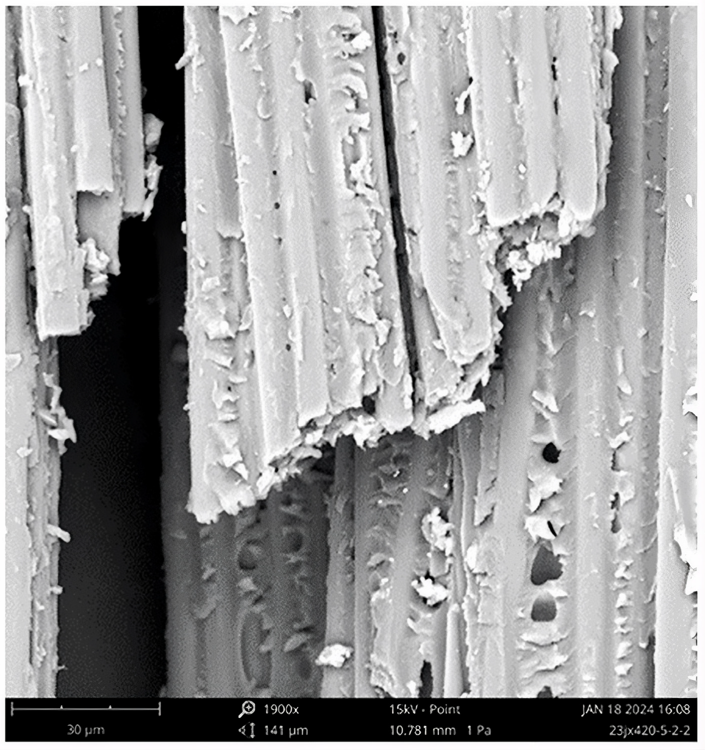 Carbon Fiber-Reinforced Polymer Matrix Composites: Processing ...