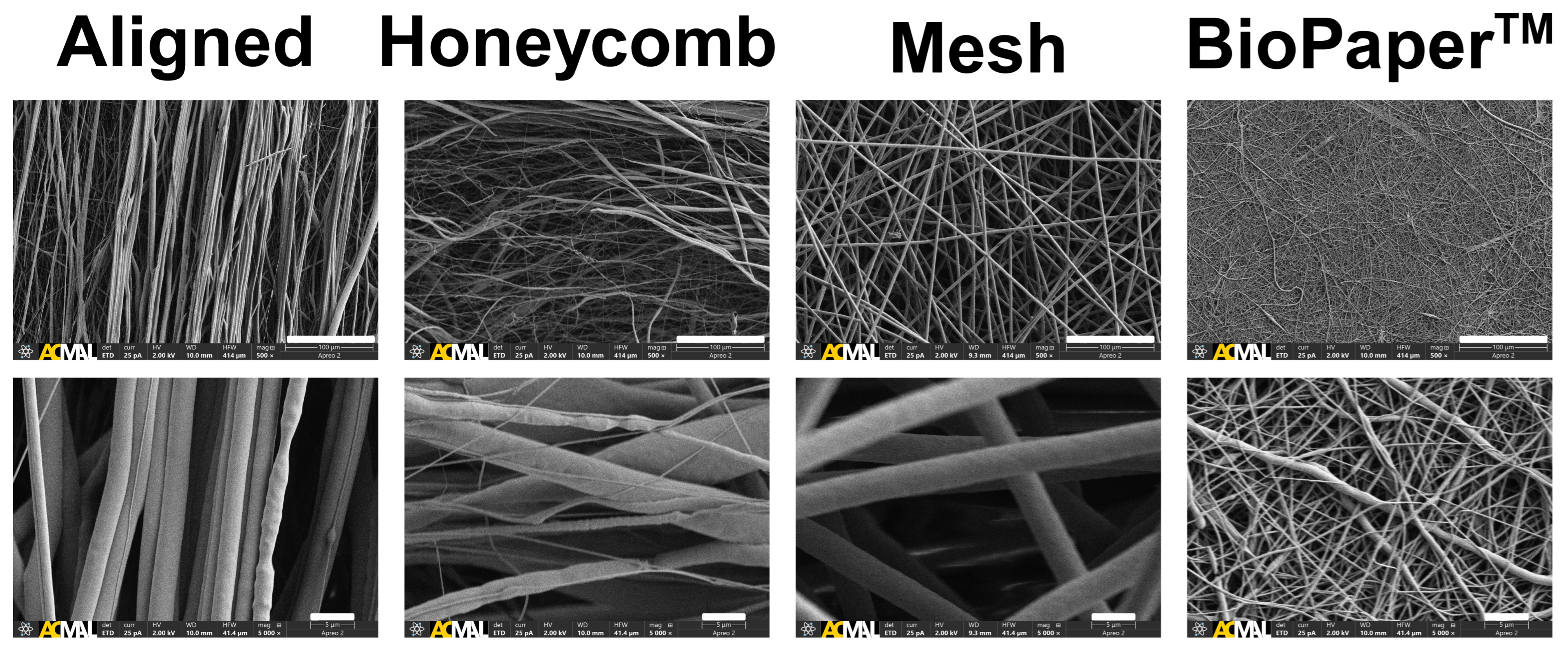 Electrospun Nanofiber Scaffolds for In Vitro 3D Tissue Engineering