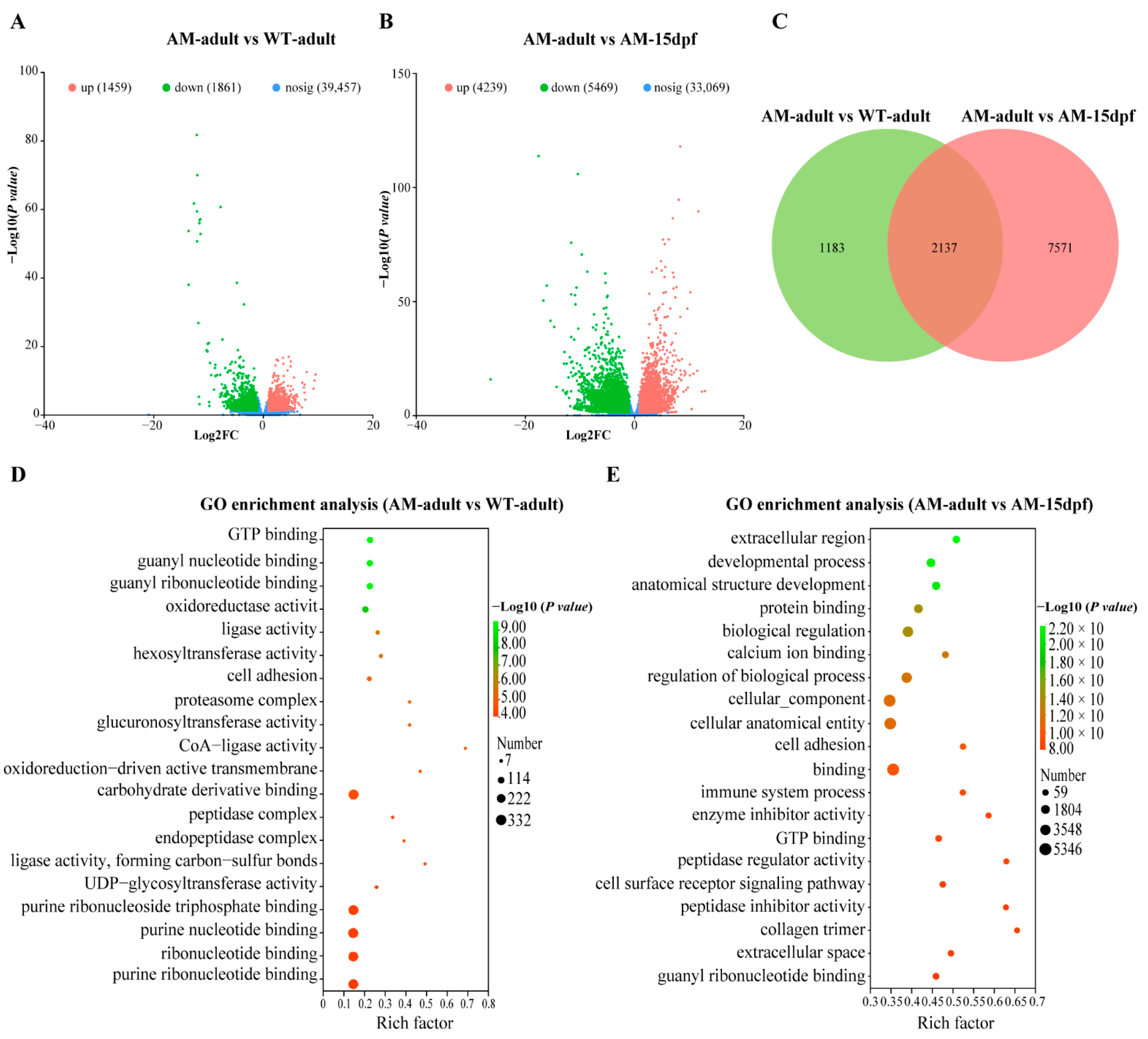 Transcriptome Analysis of Natural Albino Northern Snakehead (Channa ...