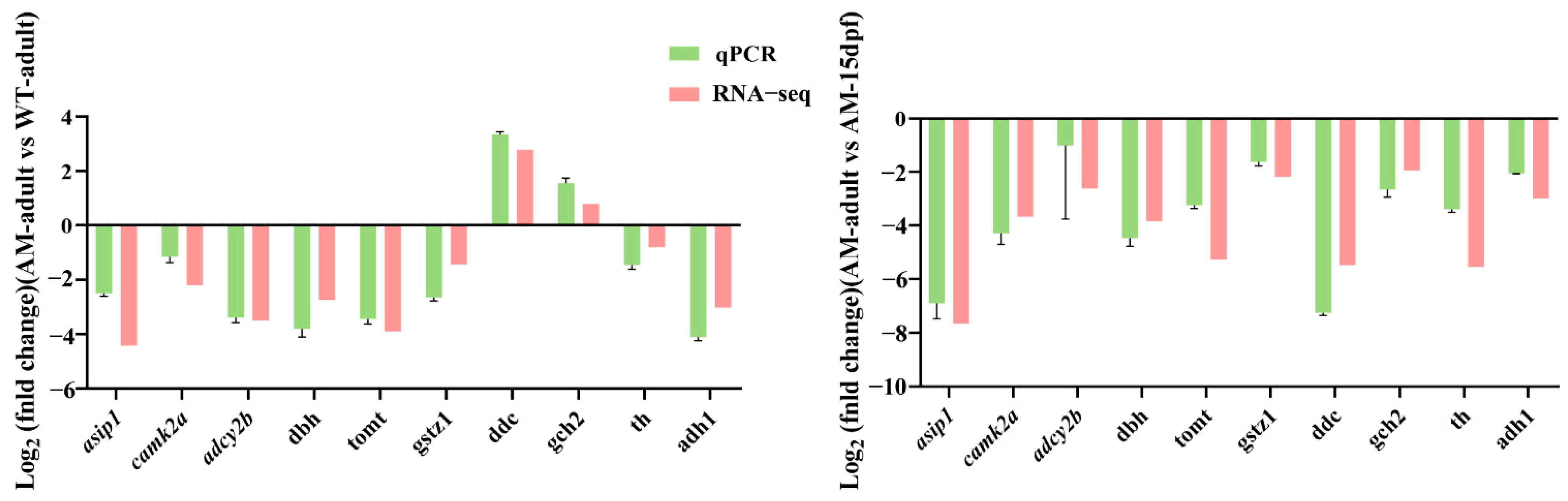 Transcriptome Analysis of Natural Albino Northern Snakehead (Channa ...
