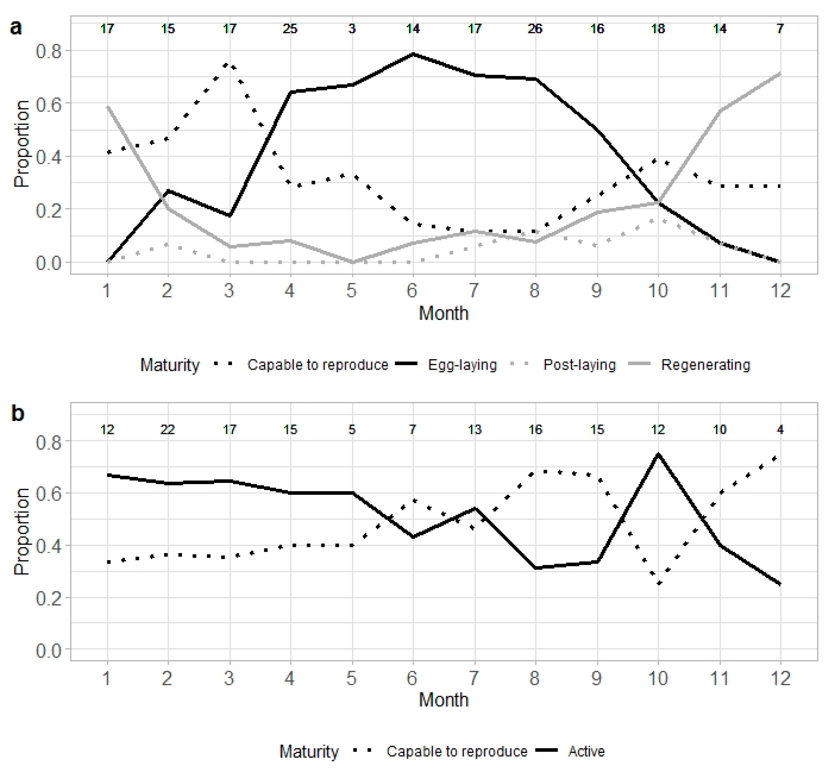 Reproductive Dynamics of the Blonde Ray (Raja brachyura) in Portuguese ...