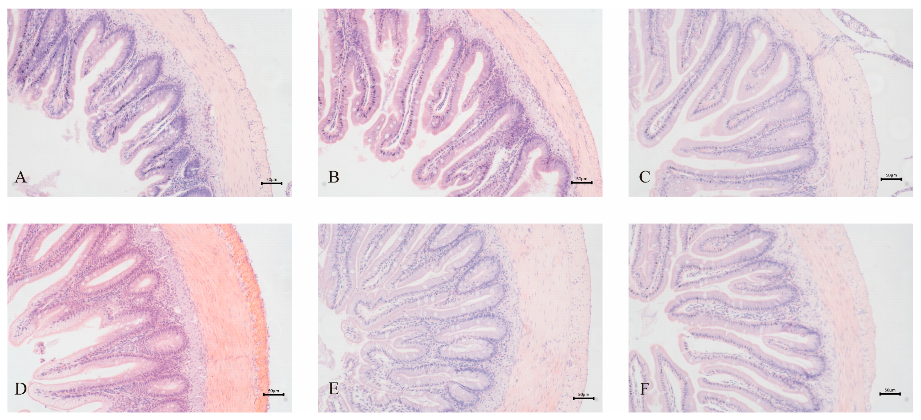 The Effects of Dietary Tributyrin Supplementation on Growth Performance ...