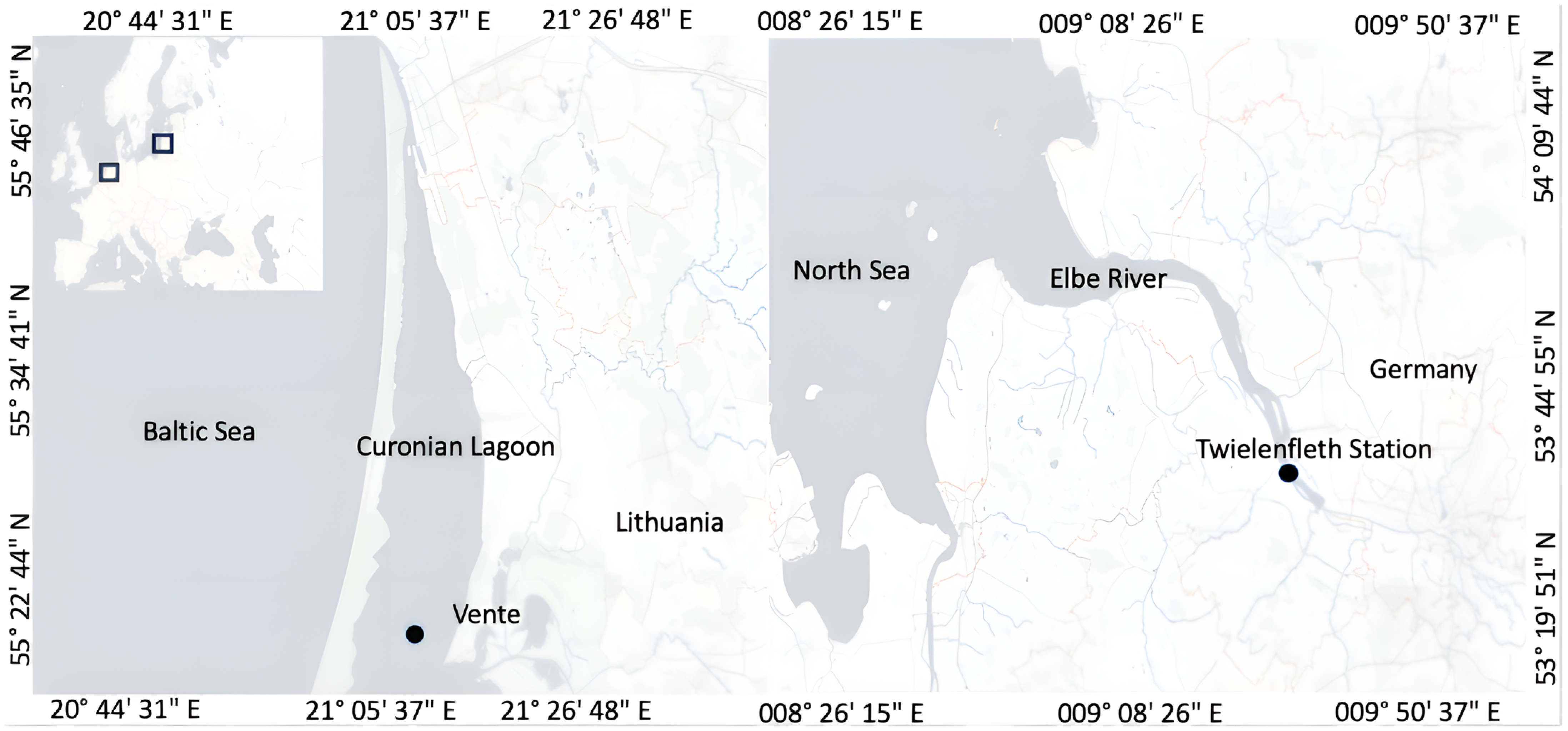 Trace Metals in Twaite Shad (Alosa fallax): Patterns Across Two ...