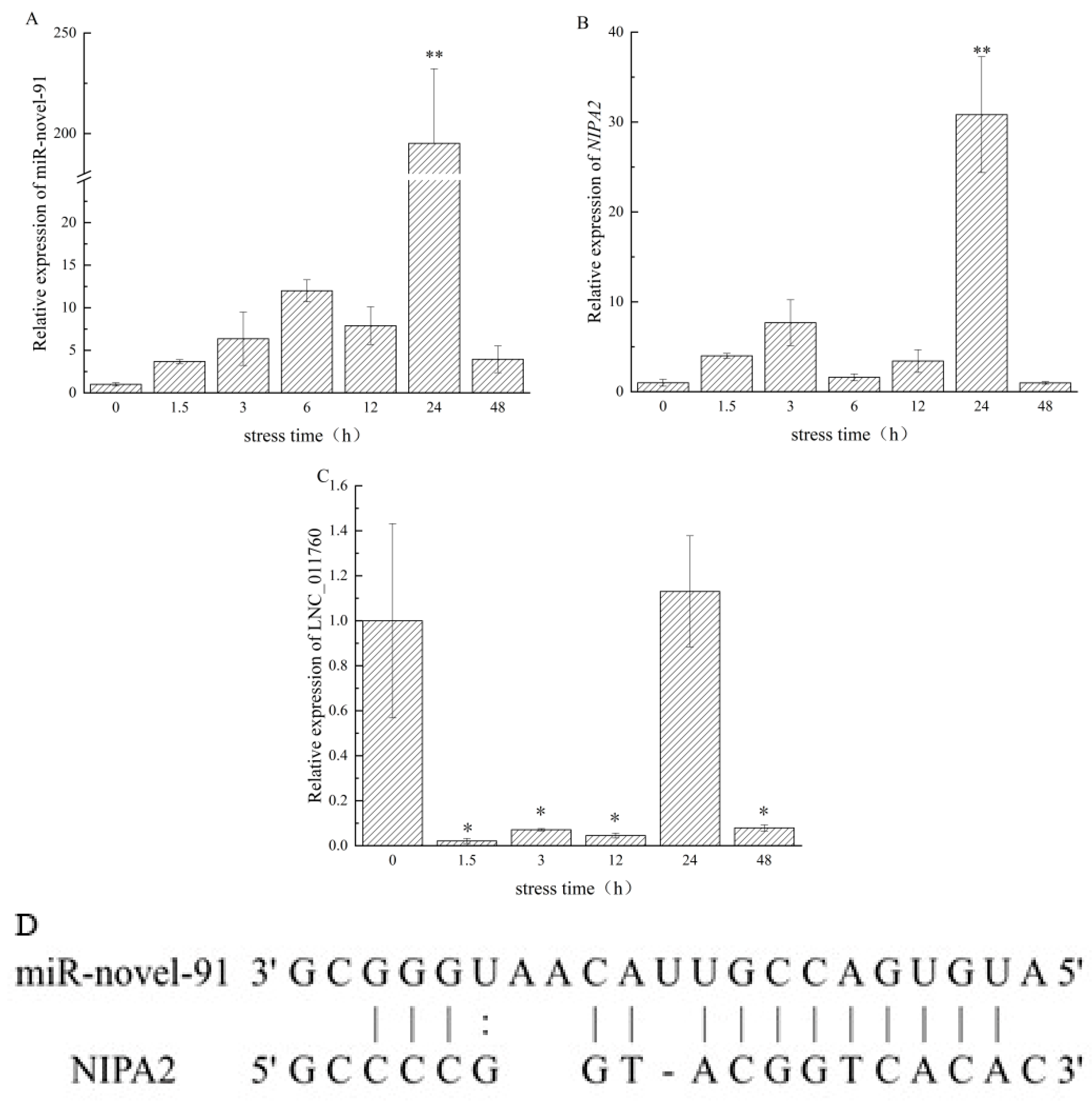The lncRNA011760/miR-Novel-91/NIPA2 ceRNA Network Regulates Salinity ...