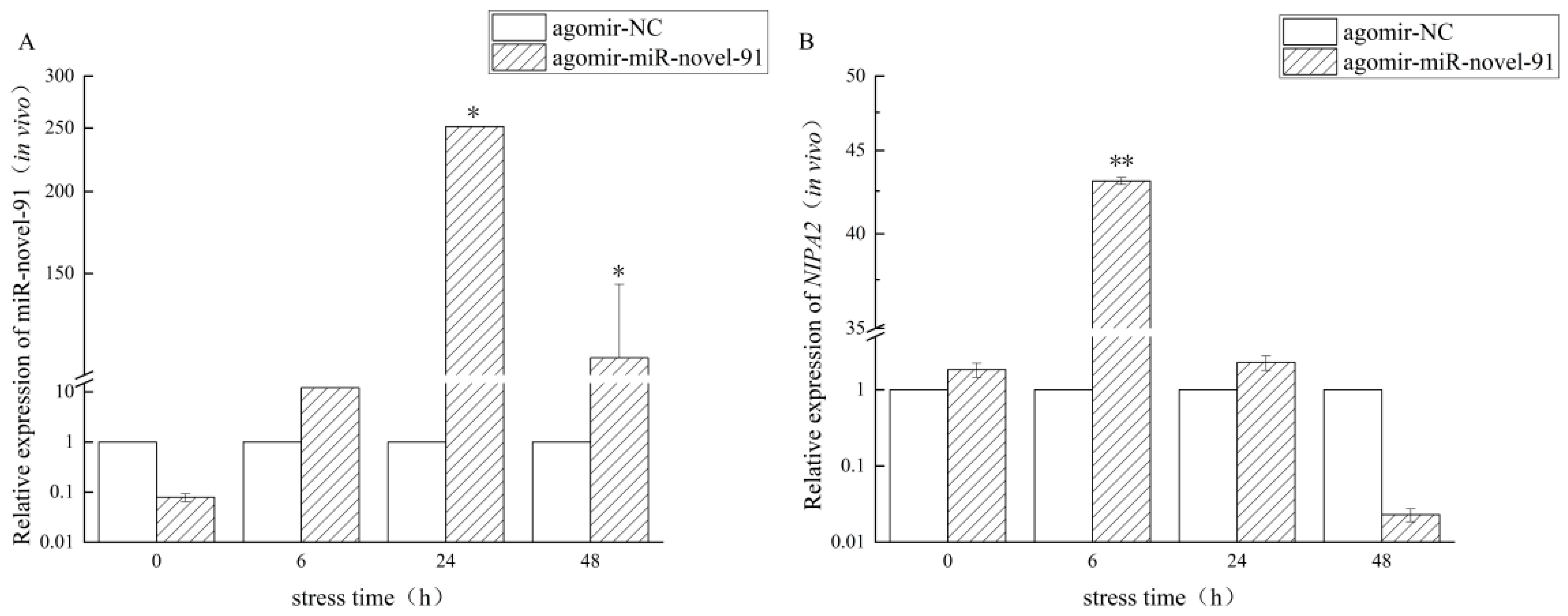 The lncRNA011760/miR-Novel-91/NIPA2 ceRNA Network Regulates Salinity ...