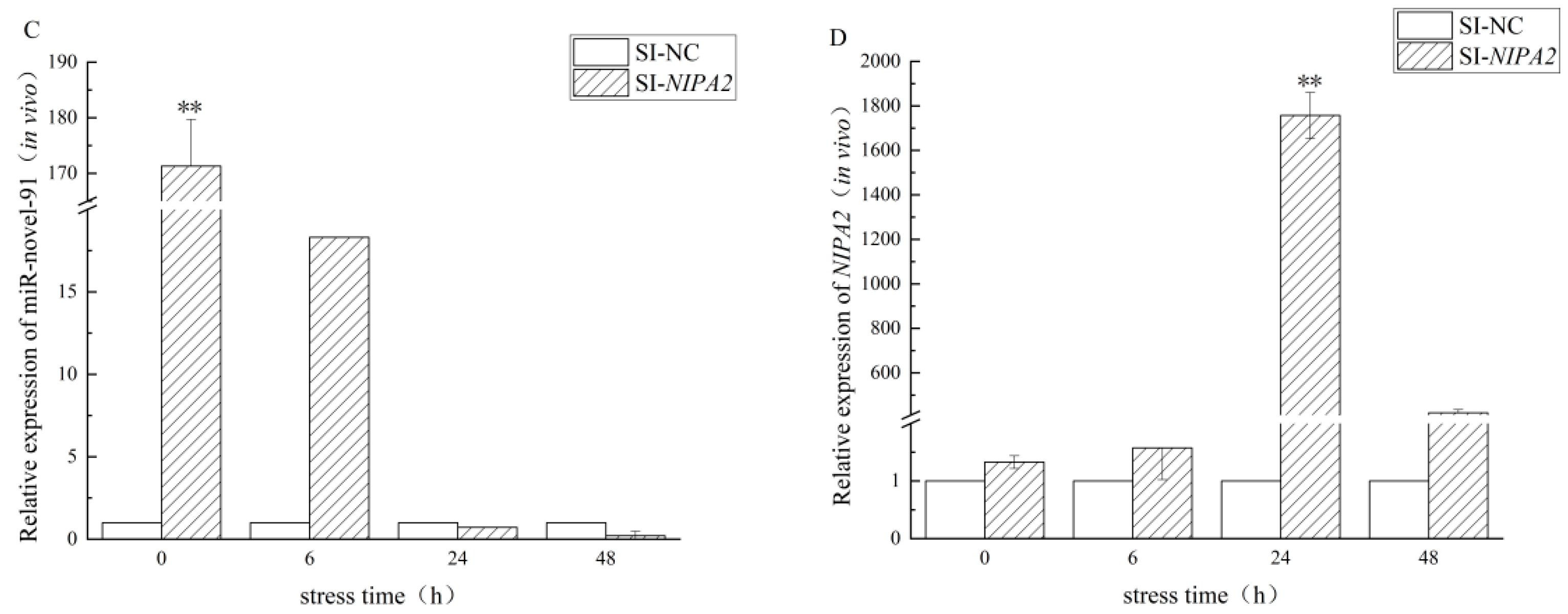 The lncRNA011760/miR-Novel-91/NIPA2 ceRNA Network Regulates Salinity ...