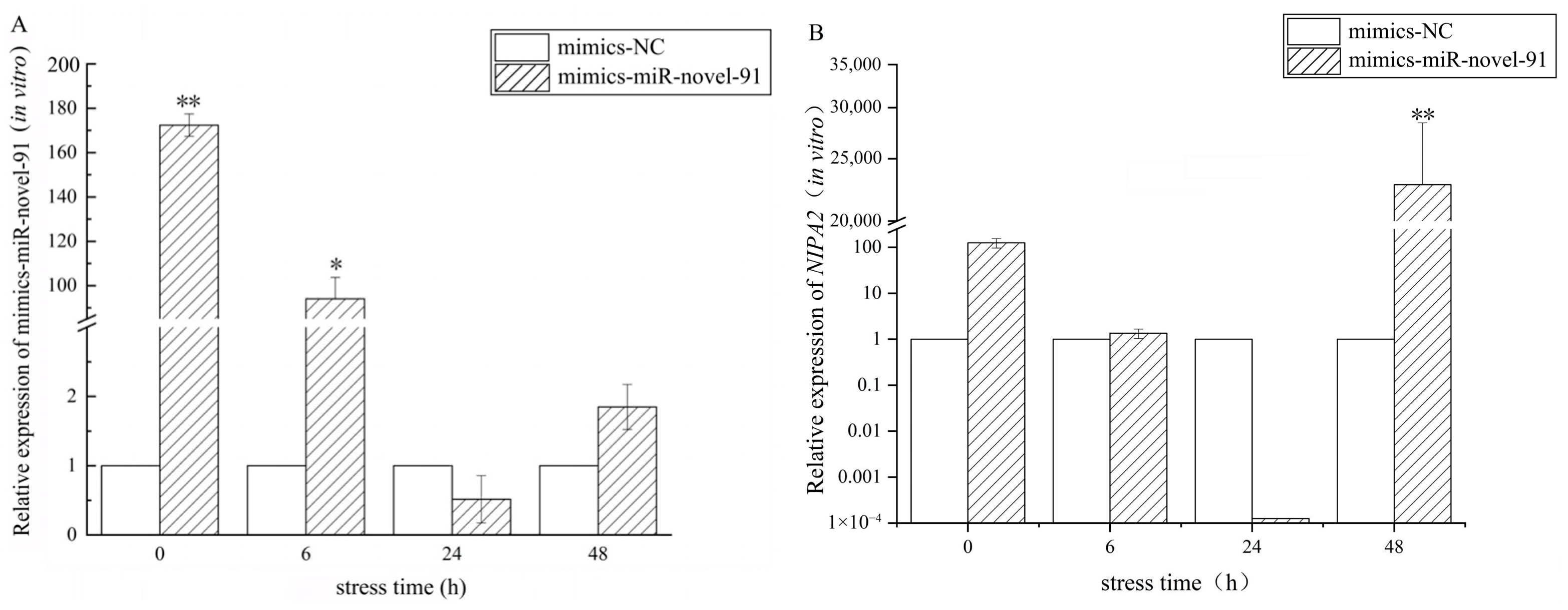 The lncRNA011760/miR-Novel-91/NIPA2 ceRNA Network Regulates Salinity ...