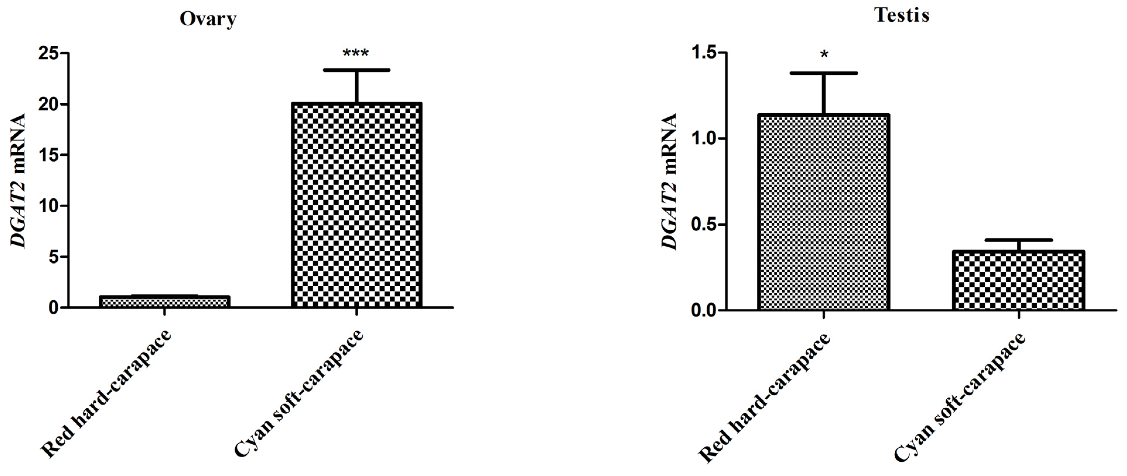 Comprehensive Analysis of Cyan Soft-Carapace and Red Hard-Carapace ...