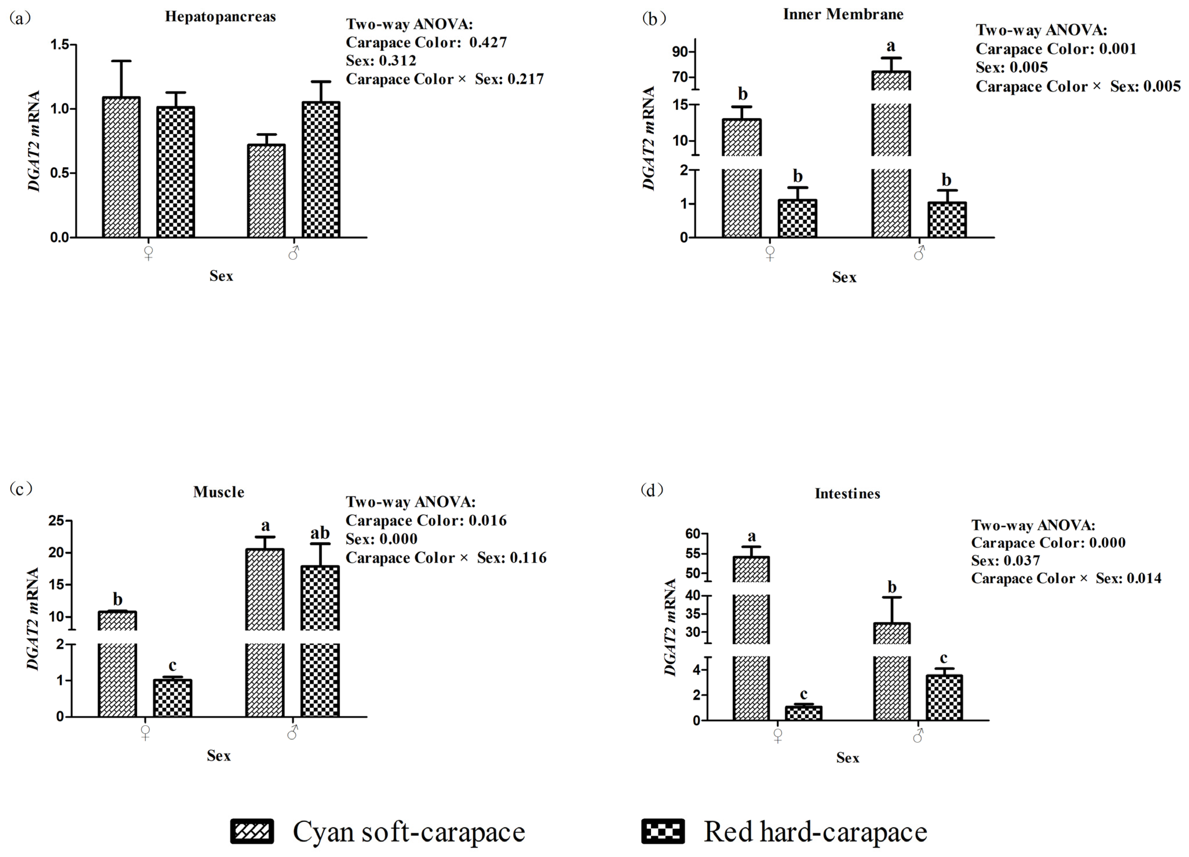 Comprehensive Analysis of Cyan Soft-Carapace and Red Hard-Carapace ...