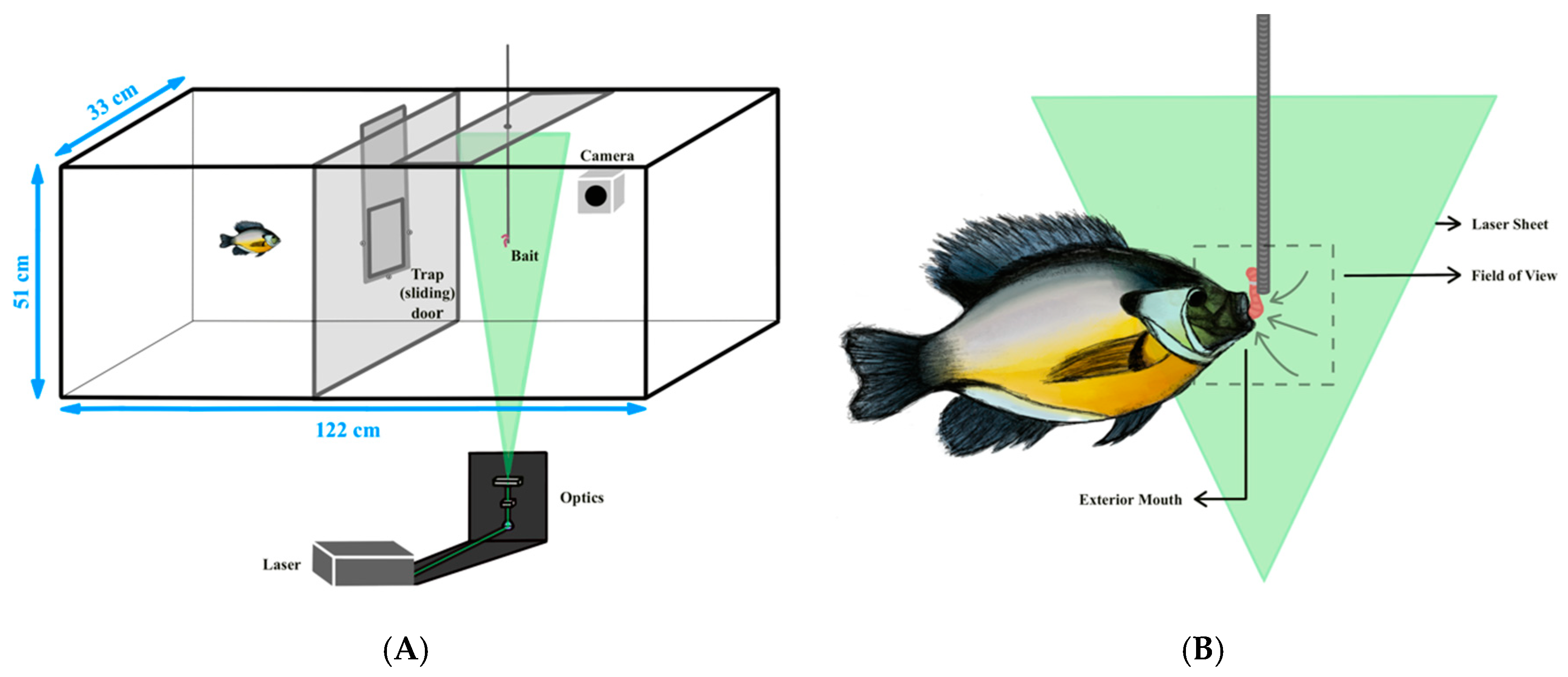 Pressure Field Estimation from 2D-PIV Measurements: A Case Study of ...