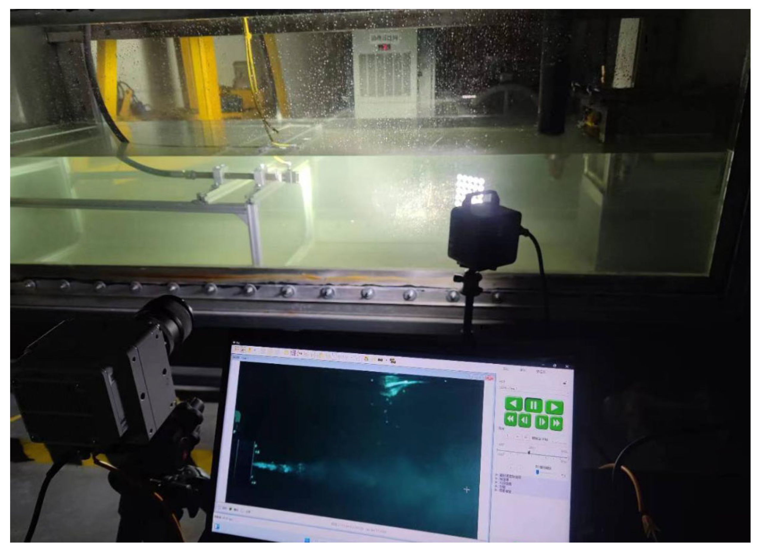 A Study on the Evolution of Flow Regime in a Gas-Assisted Submerged ...