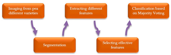 A Computer Vision System Based on Majority-Voting Ensemble Neural ...