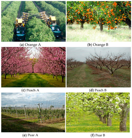 An Explorative Analysis of the Influence of Landscape Visual Aesthetic ...