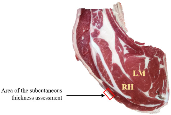 Effects of Rearing Management Applied throughout the Charolais Young ...