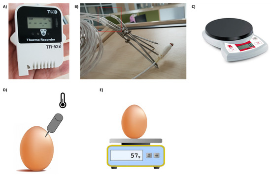 Foods | Free Full-Text | Egg Freshness Prediction Model Using Real-Time ...