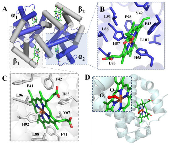 Dietary Heme-Containing Proteins: Structures, Applications, and Challenges